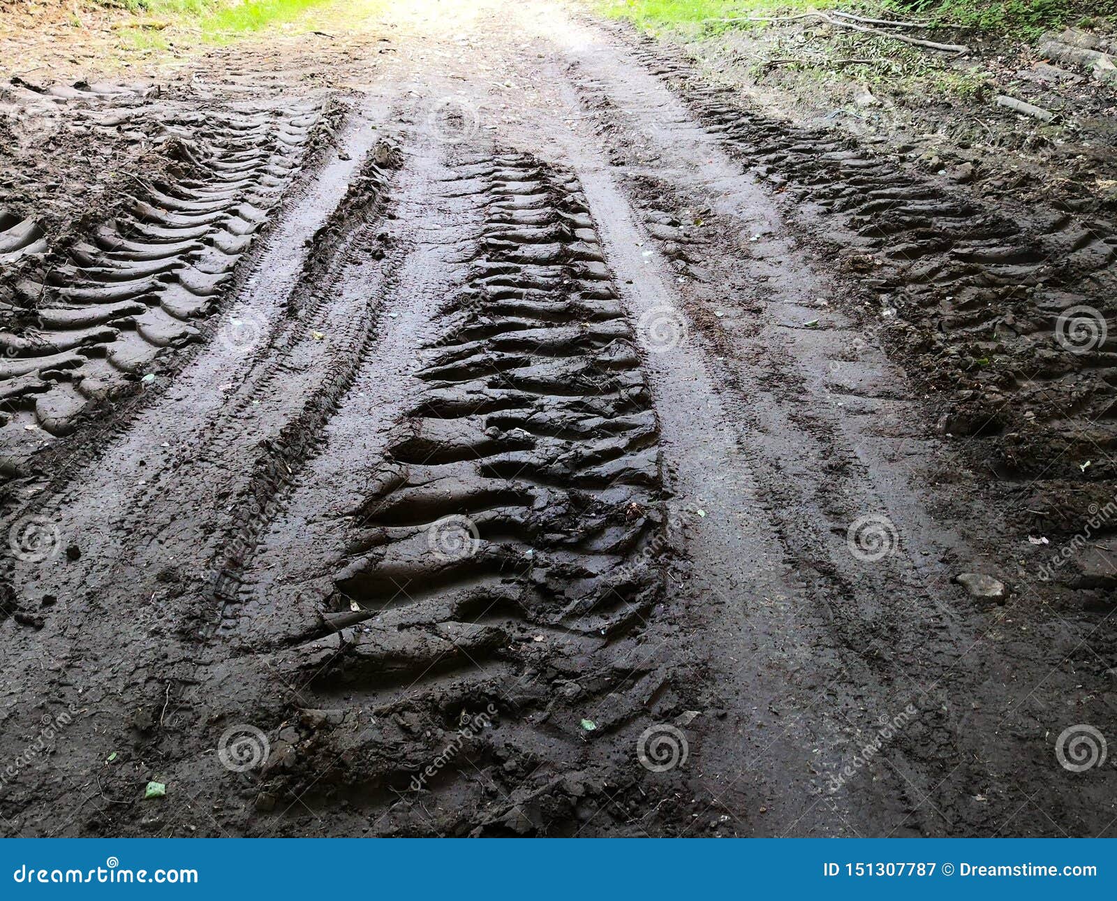 Tire tracks in mud stock image. Image of show, environmental - 151307787