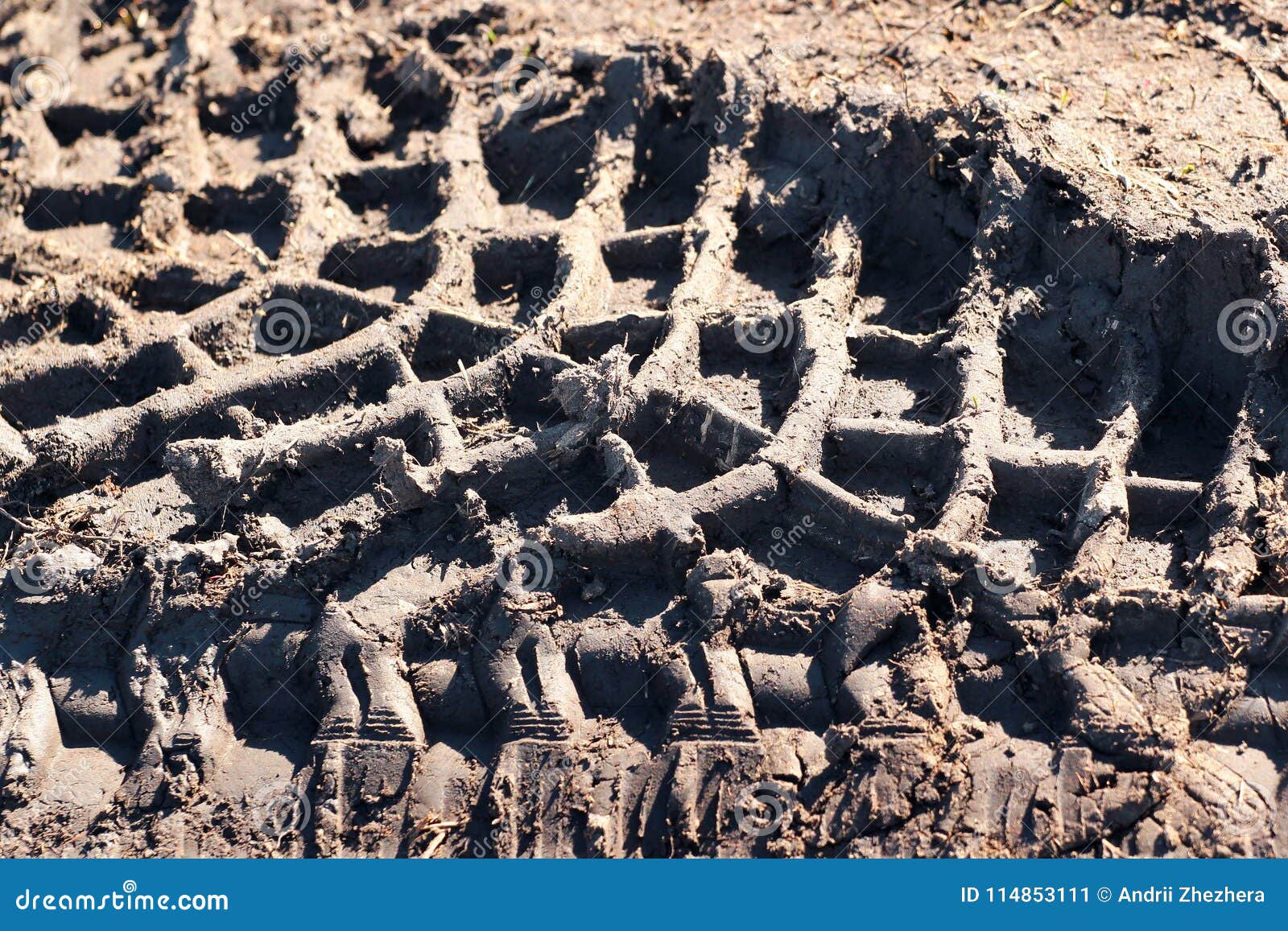 Tire Tracks Mud Stock Images - 1,550 Photos