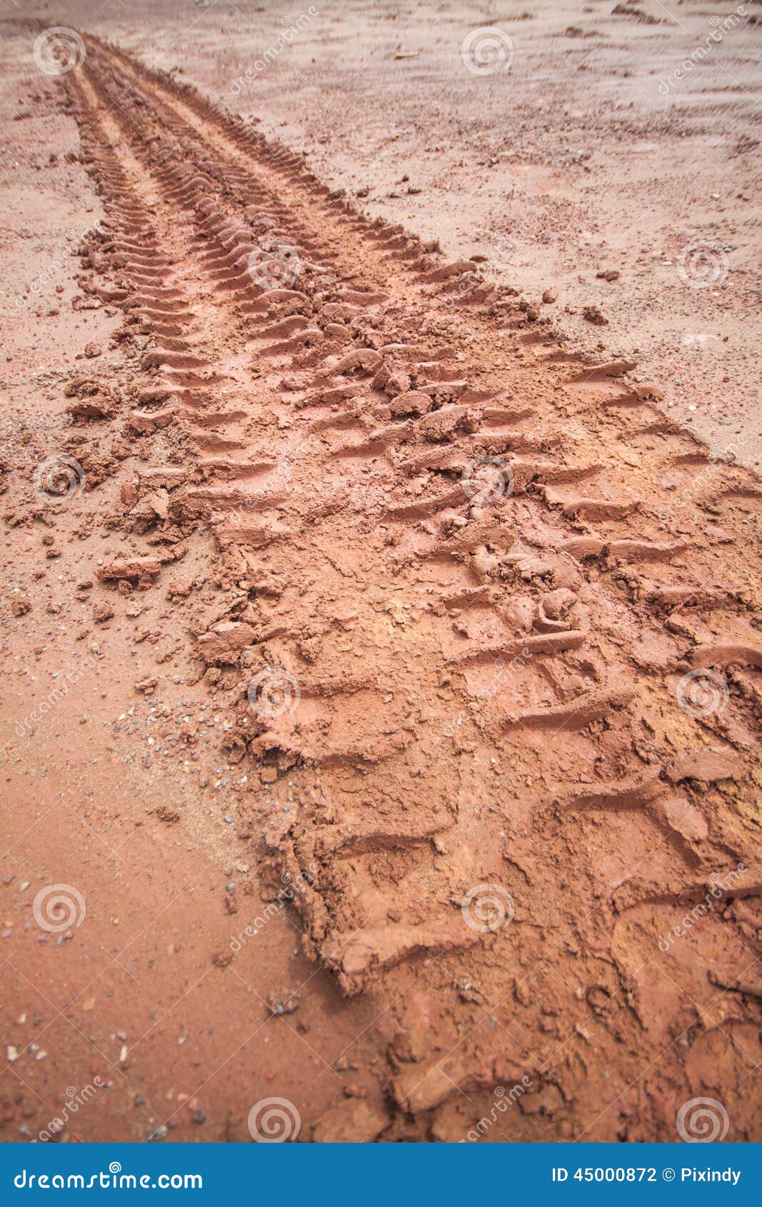 Tire Tracks on a Muddy Road Stock Photo - Image of road, texture: 45000872