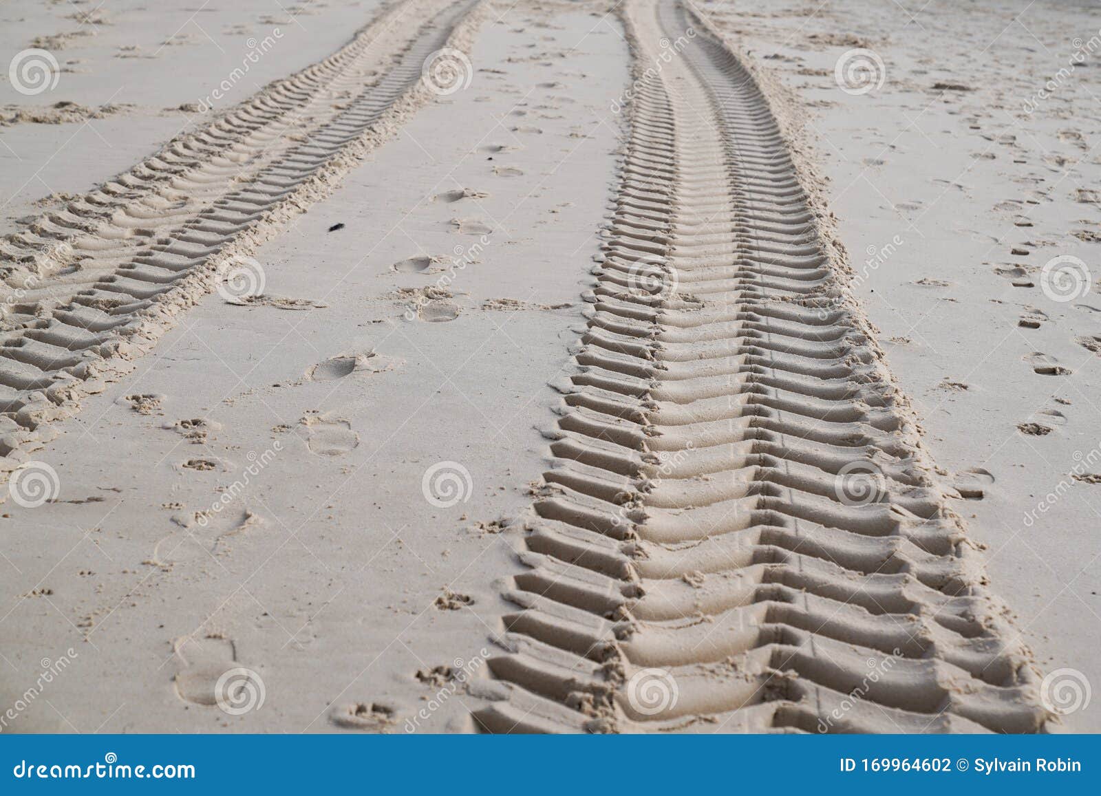 Beach Or Desert Sand PBR Textures - Maps Royalty-Free Stock Photo ...