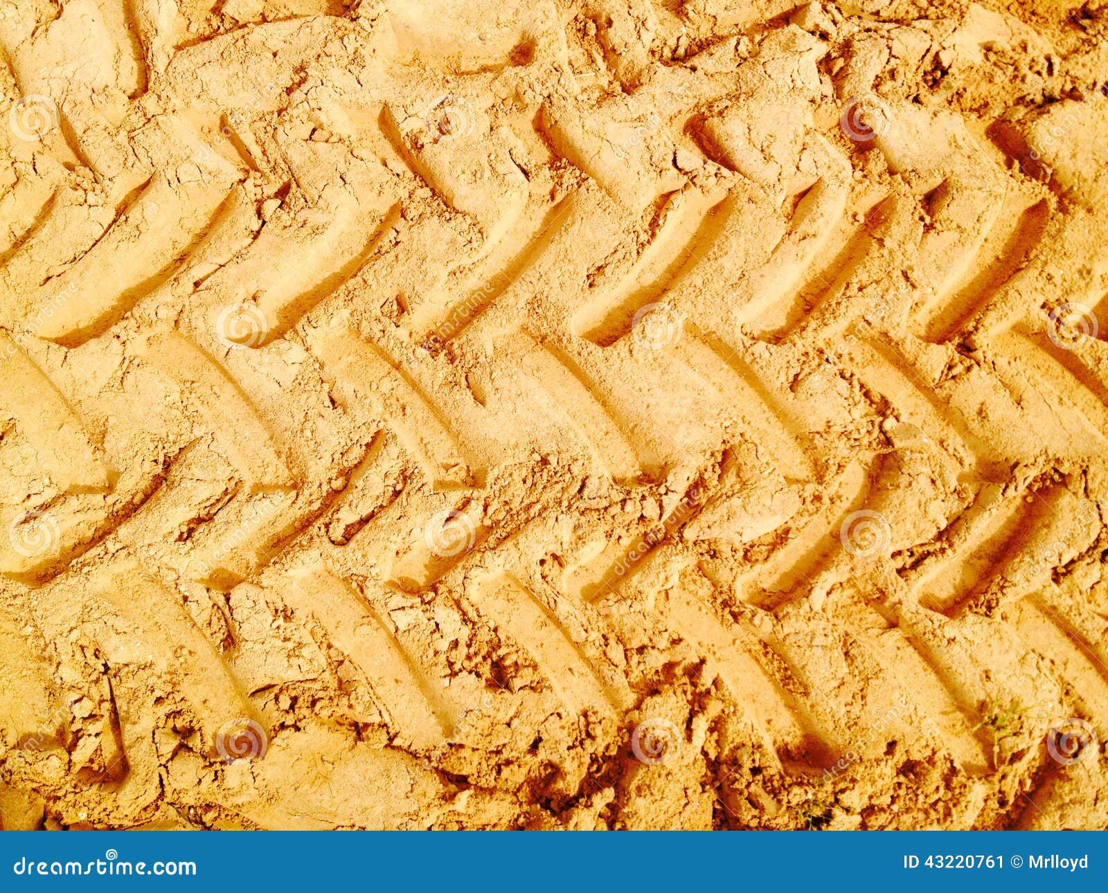 Tyre tracks stock image. Image of farm, land, tire, tractor - 43220761