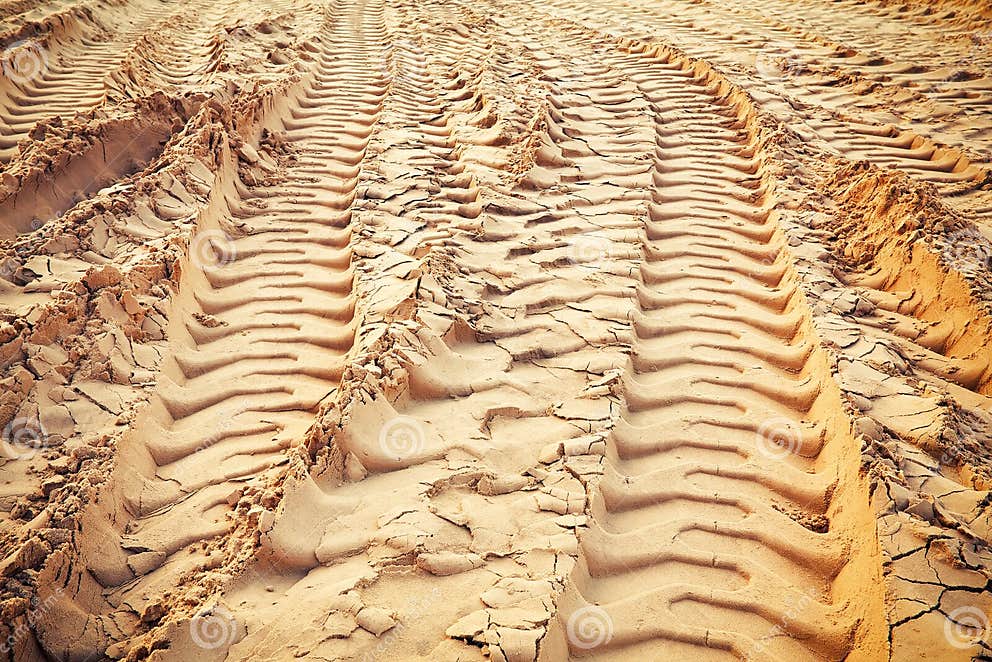 Tire tracks on the sand. stock image. Image of outdoors - 61828357