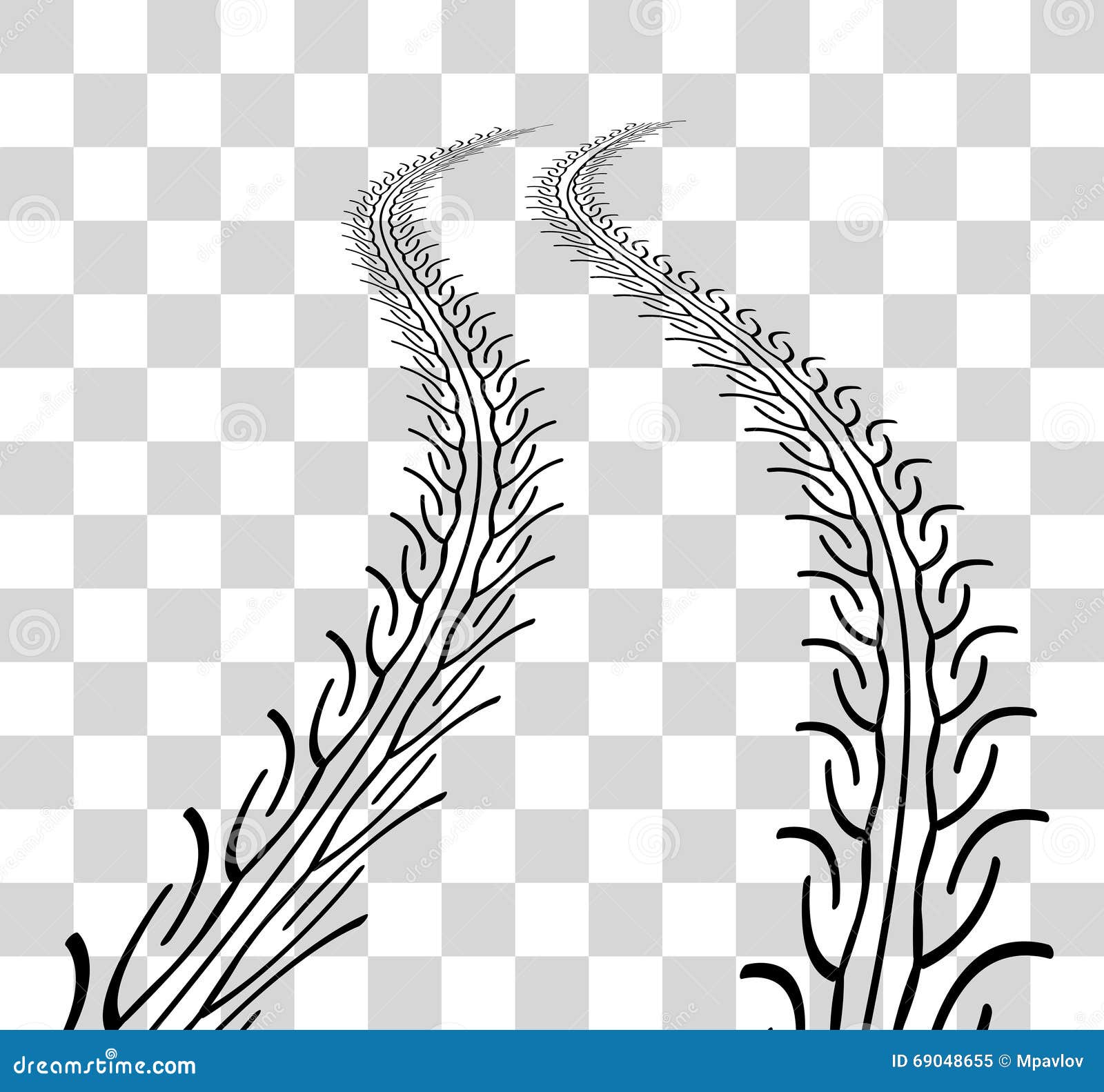 Tire tracks vector stock vector. Illustration of outline - 69048655