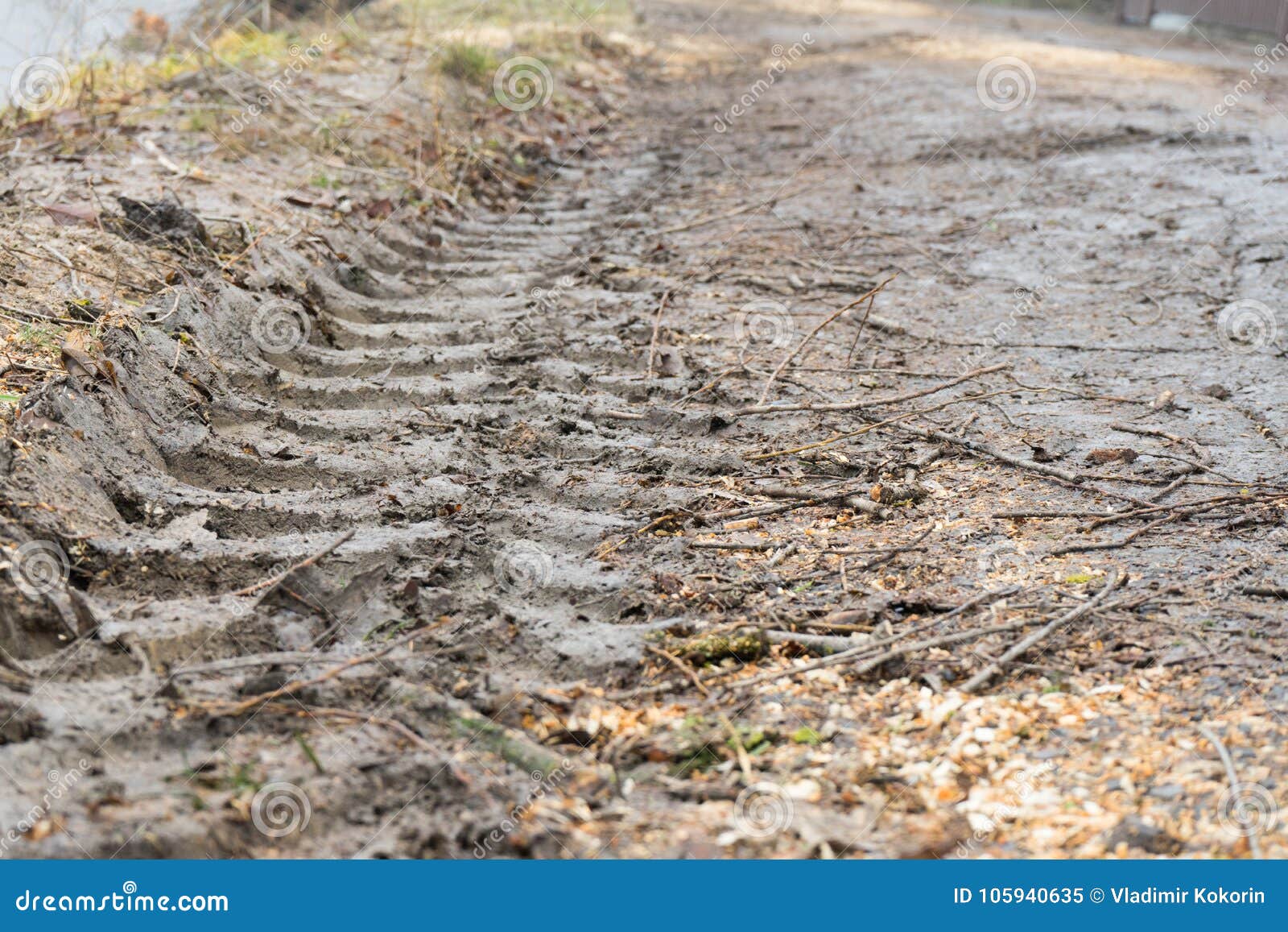 Tire Tread of Car Wheels in the Mud. Stock Image - Image of direction ...