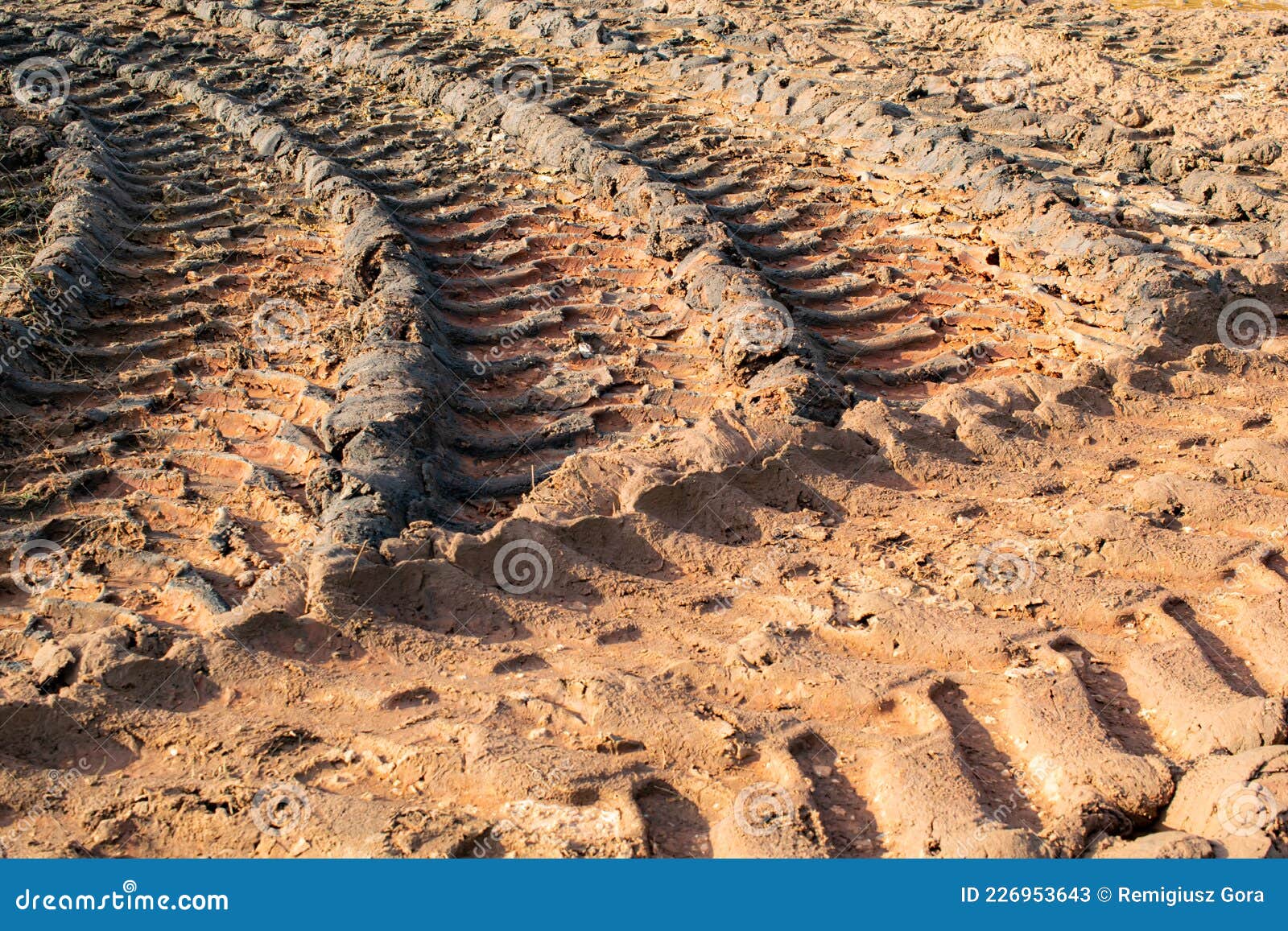 Tire Tread Marks in Mud or Clay, Texture Stock Image - Image of trace ...