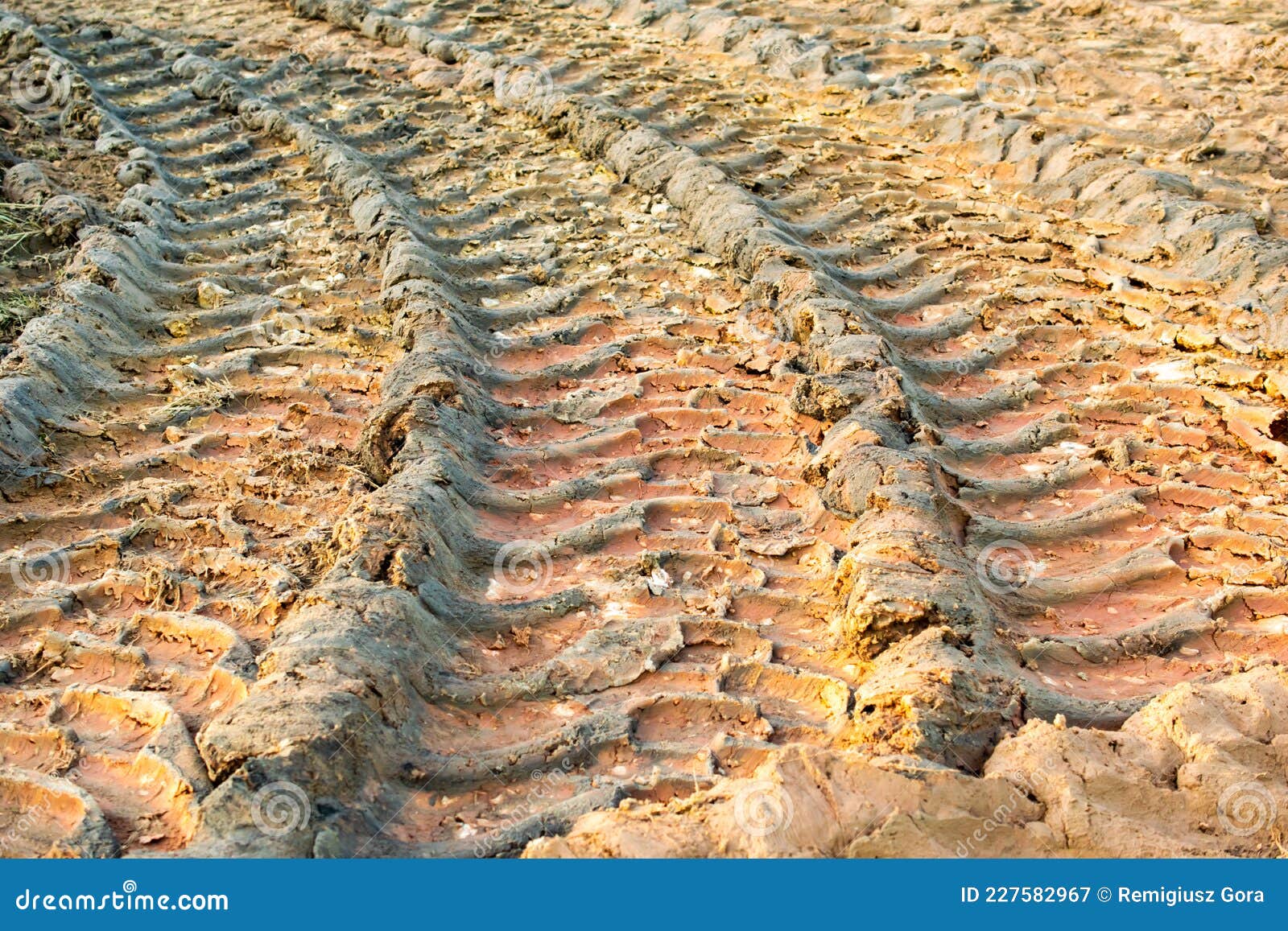 Tire Tread Marks in Mud or Clay, Texture Stock Image - Image of lane ...