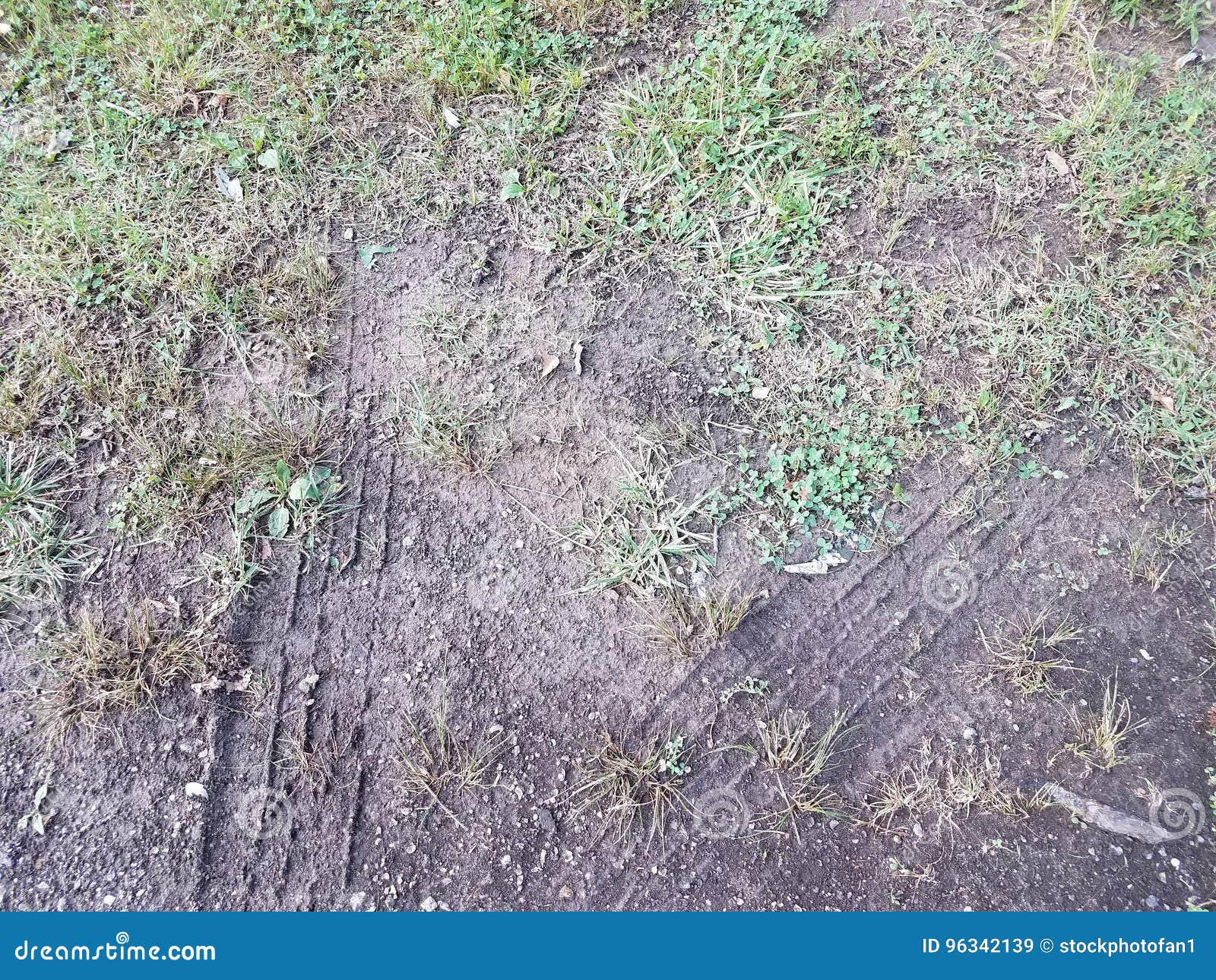 Tire Tread Marks in the Mud Stock Image - Image of dirt, weeds: 96342139