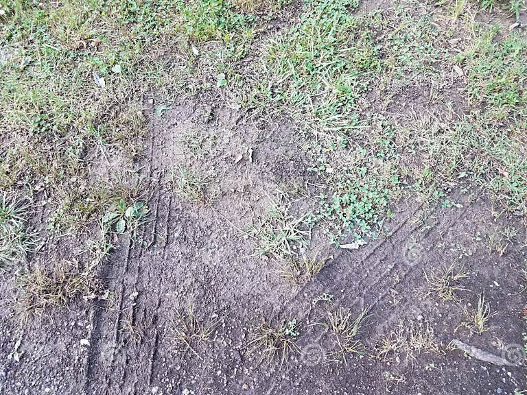 Tire Tread Marks in the Mud Stock Image - Image of dirt, weeds: 96342139