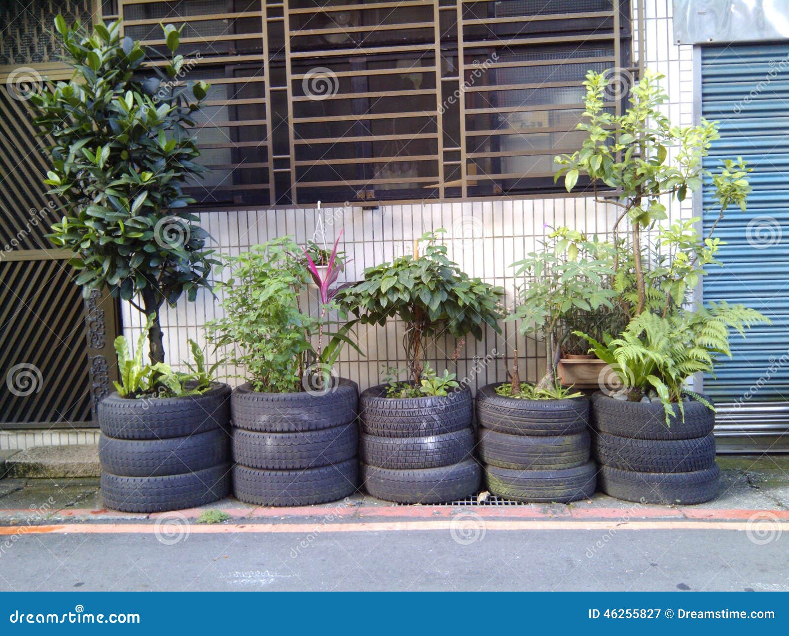 Tire tree. stock image. Image of species, tree, tread - 46255827