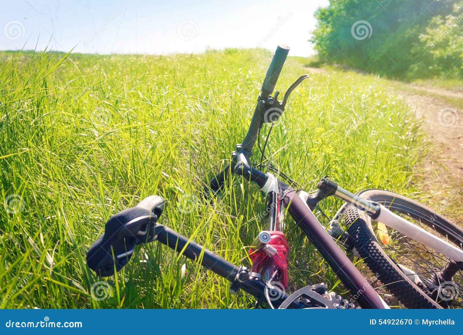 Tired Bicycle Lying in the Grass Stock Photo - Image of aluminum ...