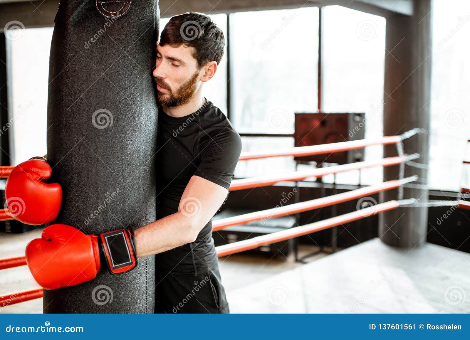 Tired Boxer on the Boxing Ring Stock Image - Image of fight, hugging ...