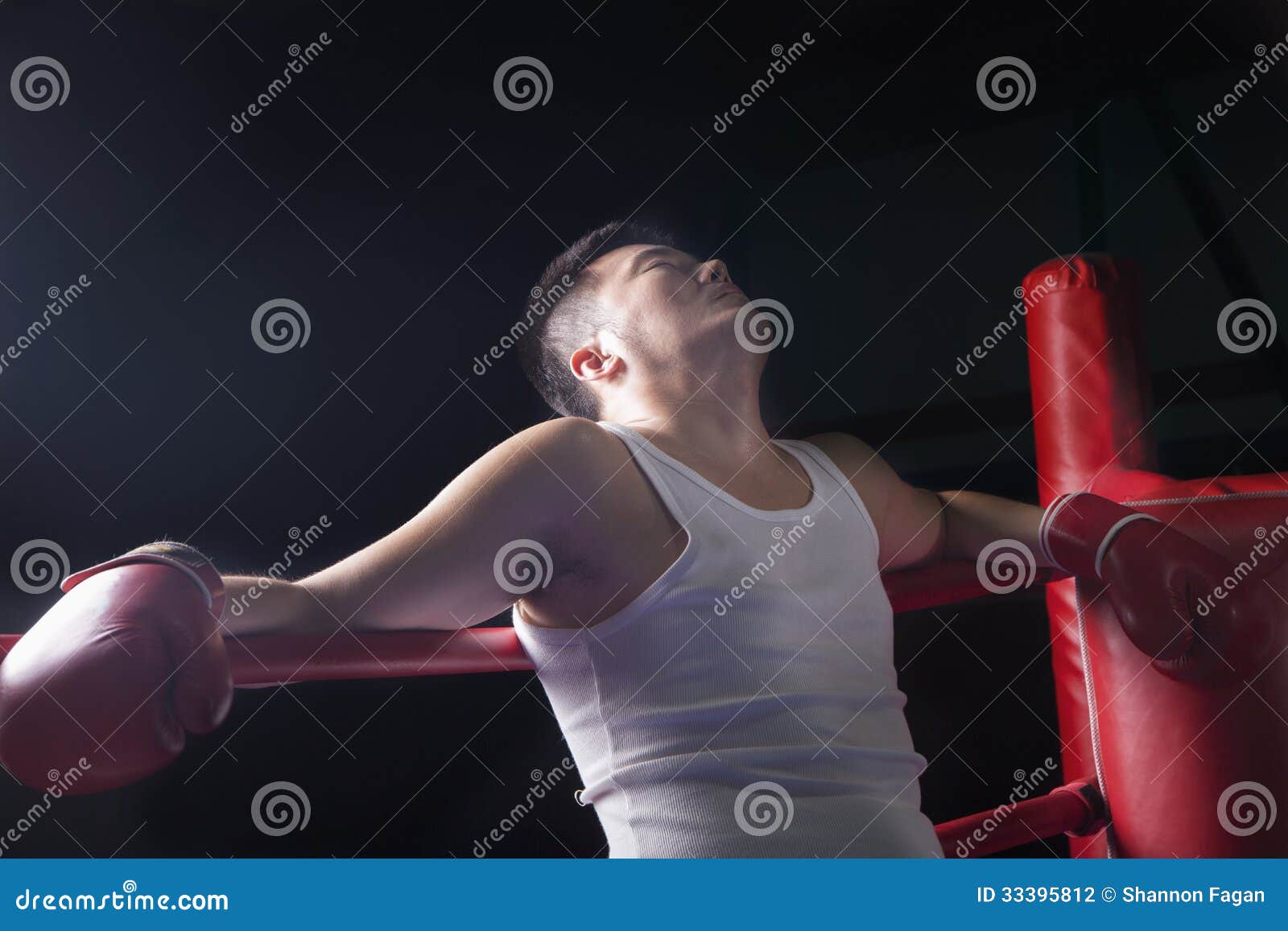Tired Boxer Resting on the Ropes in Boxing Ring, Looking Up Stock Photo ...