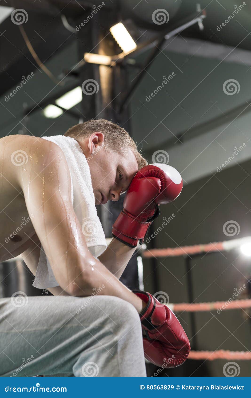 Tired Boxer Wearing Boxing Gloves Stock Image - Image of gloves, arts ...