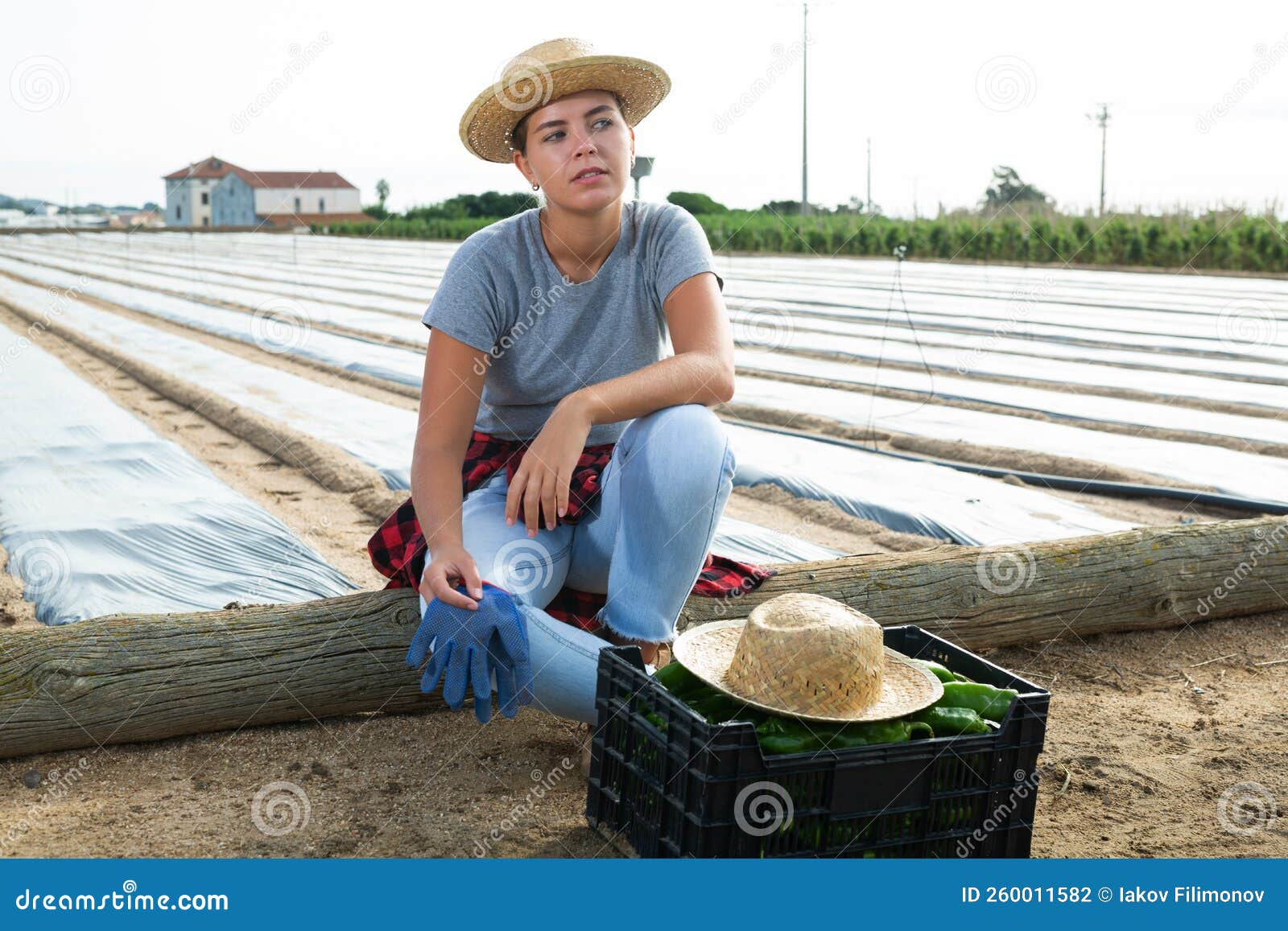 Tired Farm Worker Sits on Log after Covering Plants with Covering ...