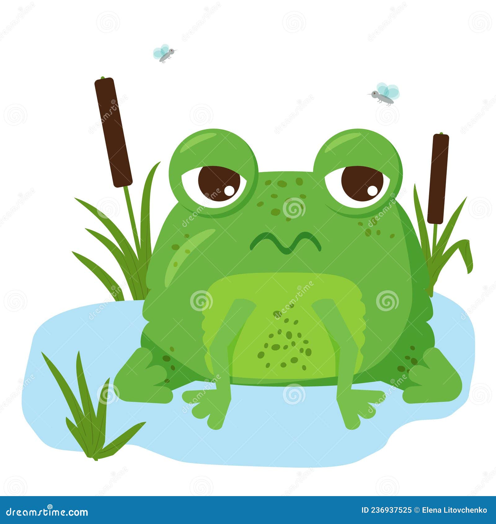 Tired Green Frog Sits on a Water Lily Leaf in the Reeds. Stock Vector ...