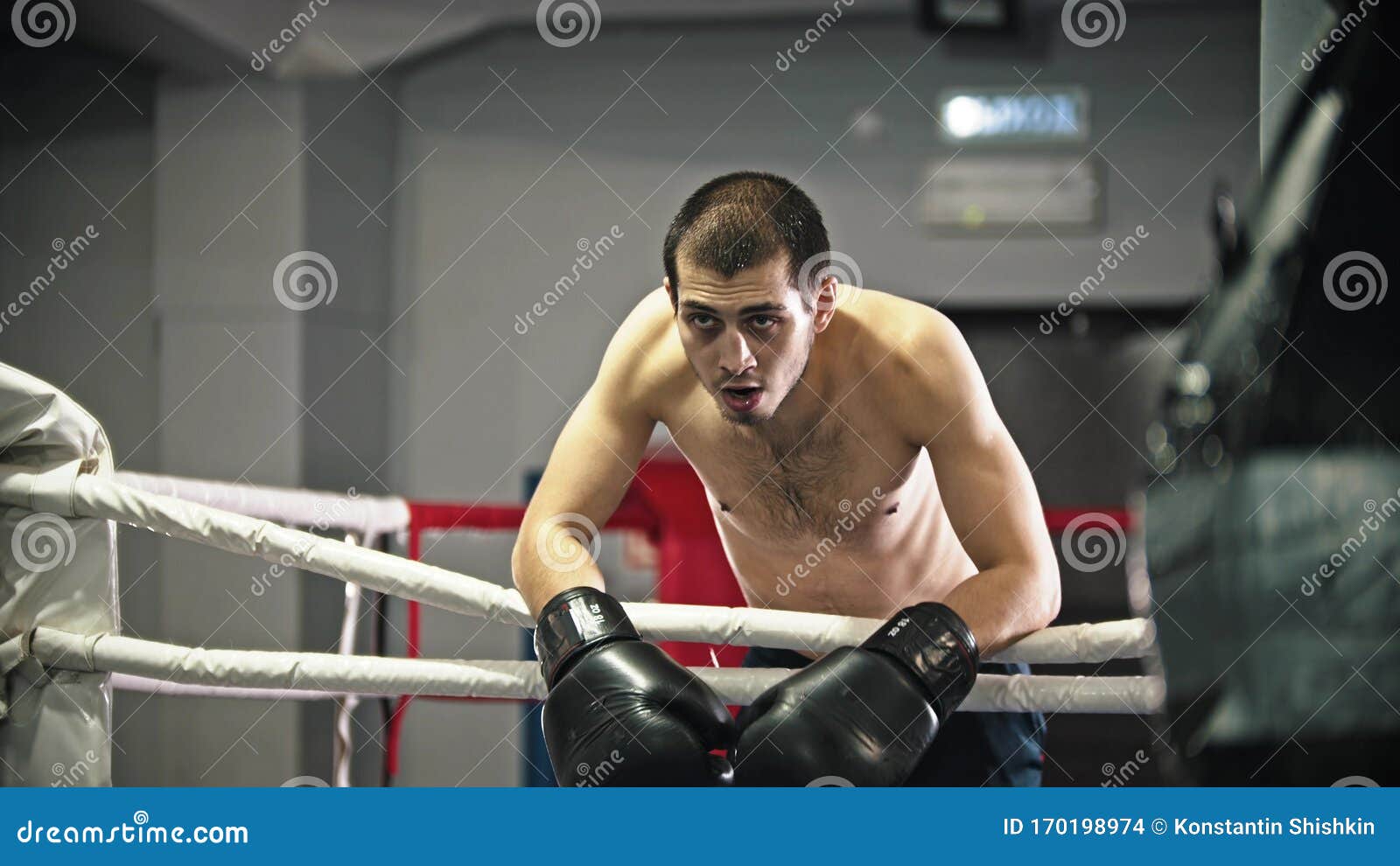A Tired Man Boxer Leaning on the Ring Stock Photo - Image of training ...