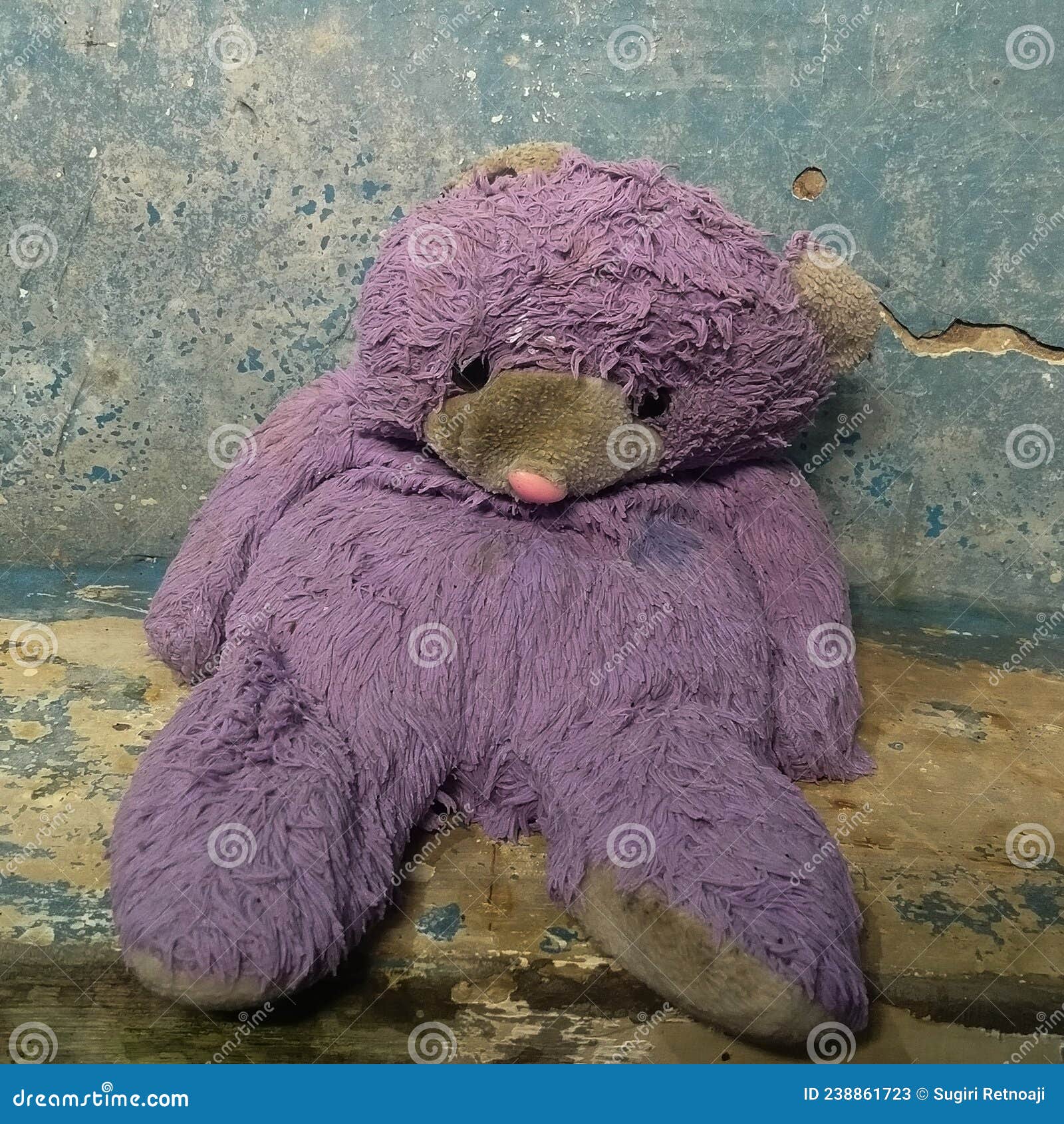 Tired teddy bear stock image. Image of purple, violet - 238861723