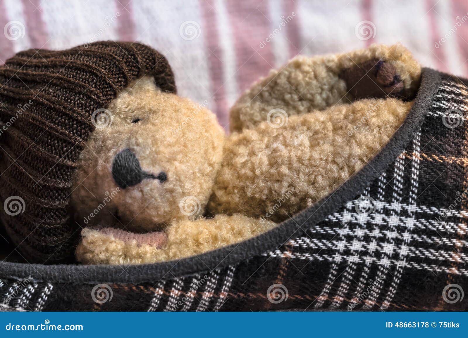 Tired Teddy Sleep in a Shoe Stock Photo - Image of stuffed, bedcap ...