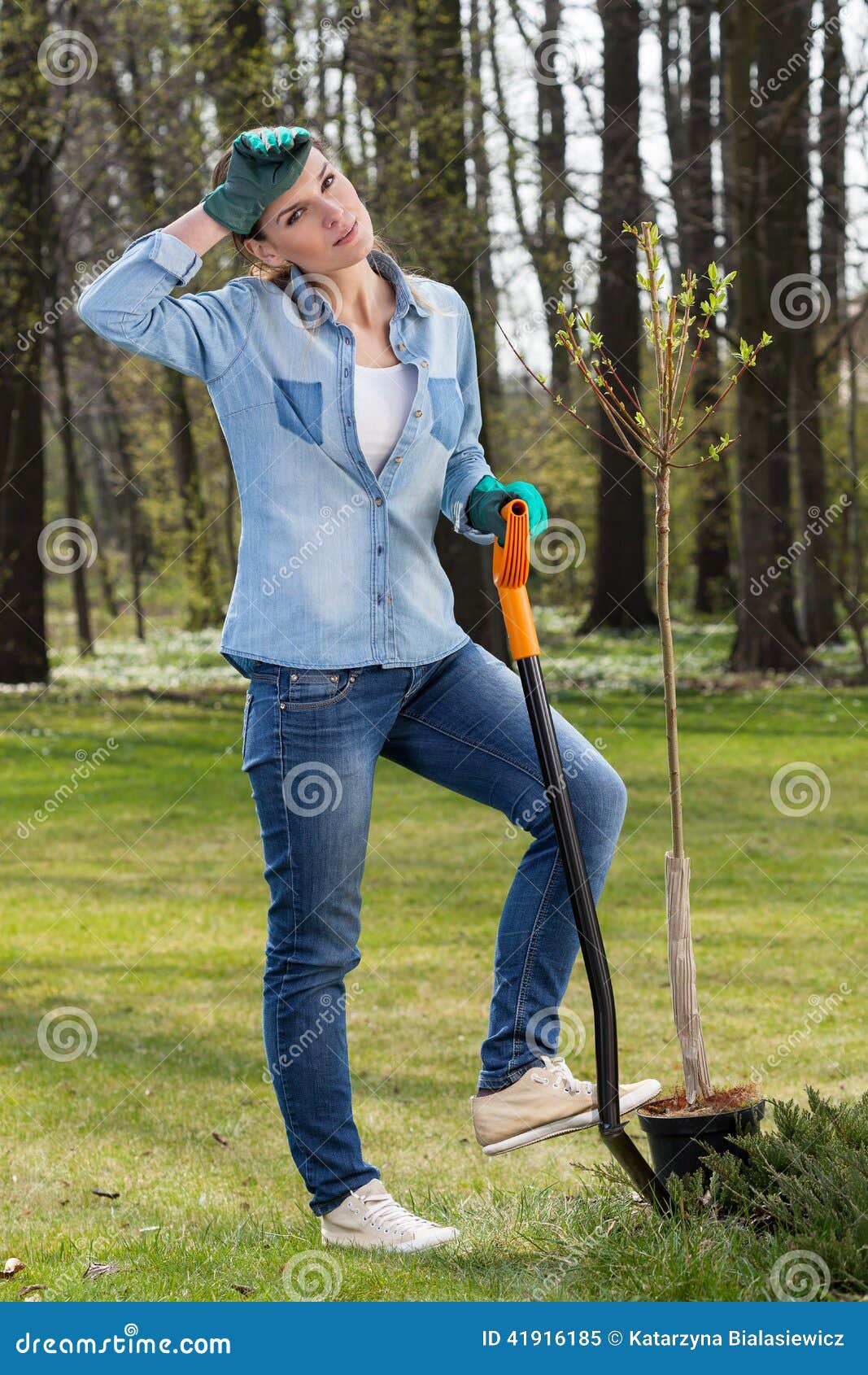 Tired Woman Digging in Garden Stock Image - Image of bush, planting ...