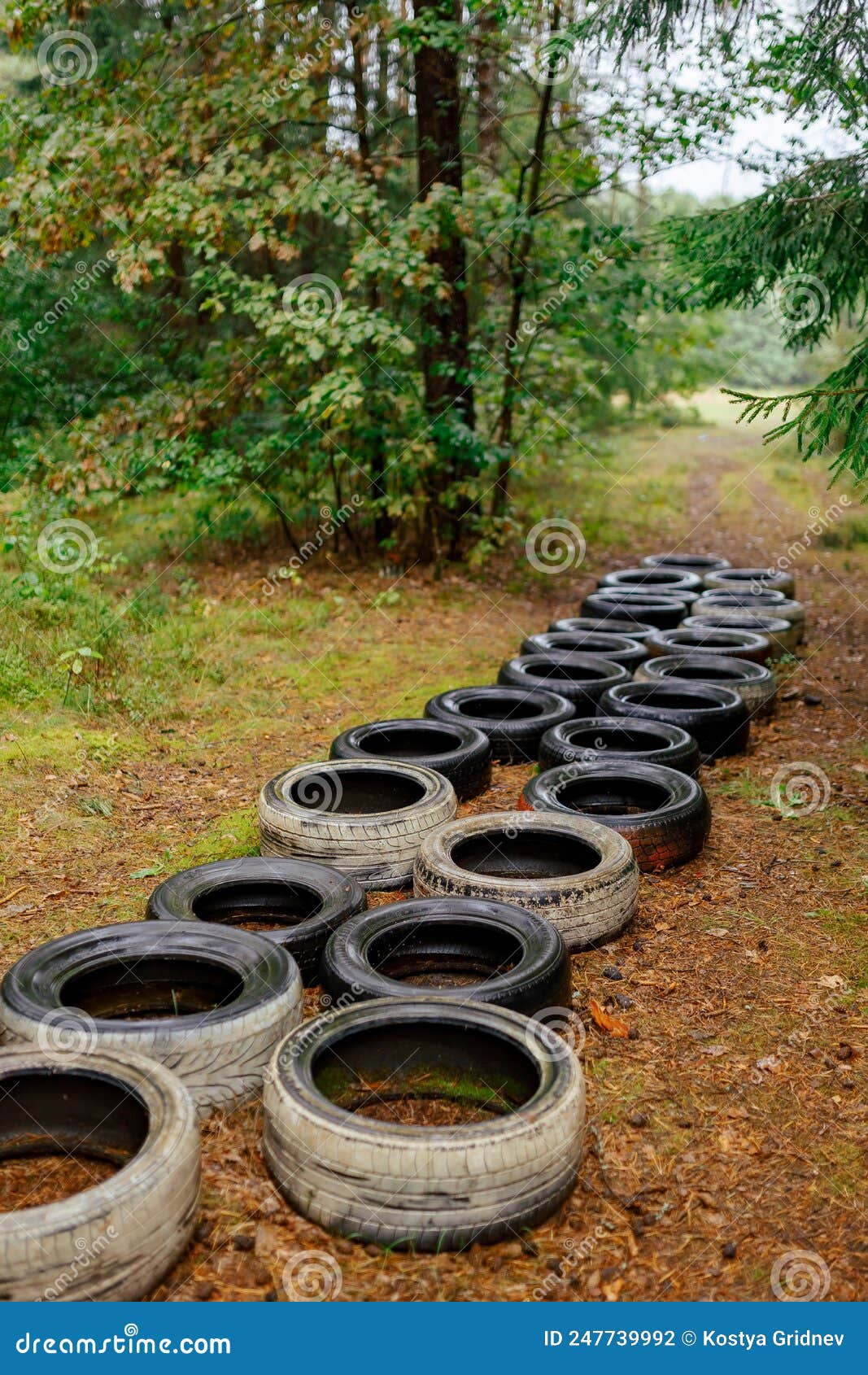 Tires on the Ground in the Forest. an Empty Obstacle Course in the ...