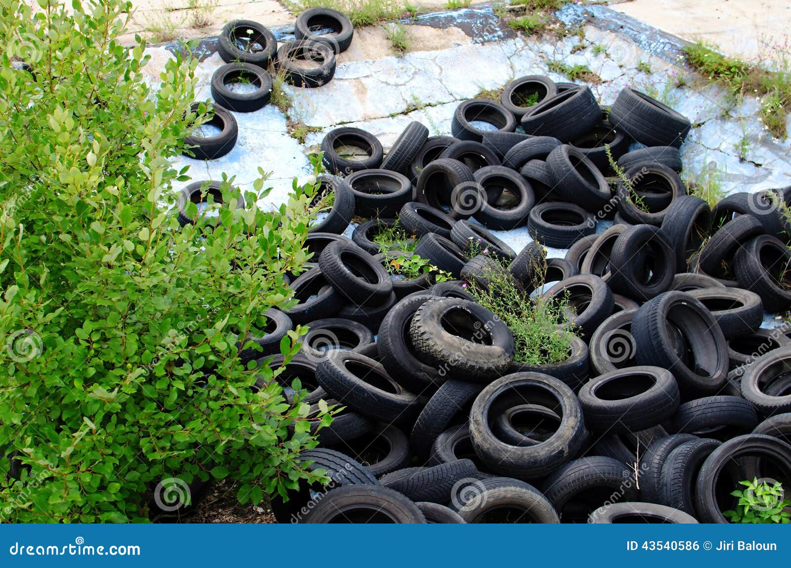 The tires in the pool stock photo. Image of used, leaves - 43540586