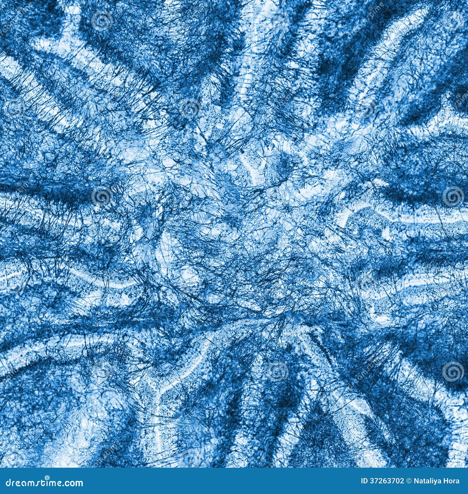 Tiro Macro Do Raio X Do Molde Distorcido Foto de Stock - Imagem de ...