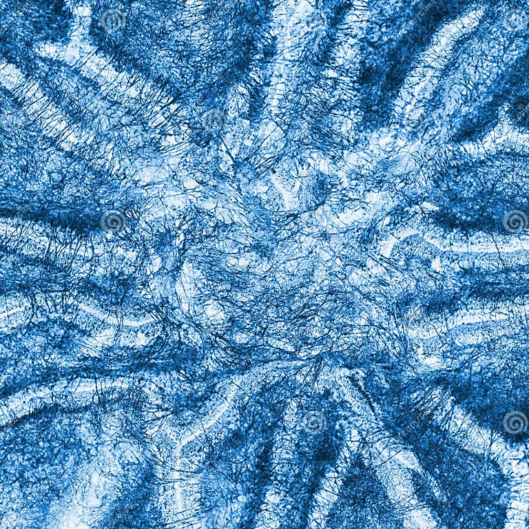 Tiro Macro Do Raio X Do Molde Distorcido Foto de Stock - Imagem de ...