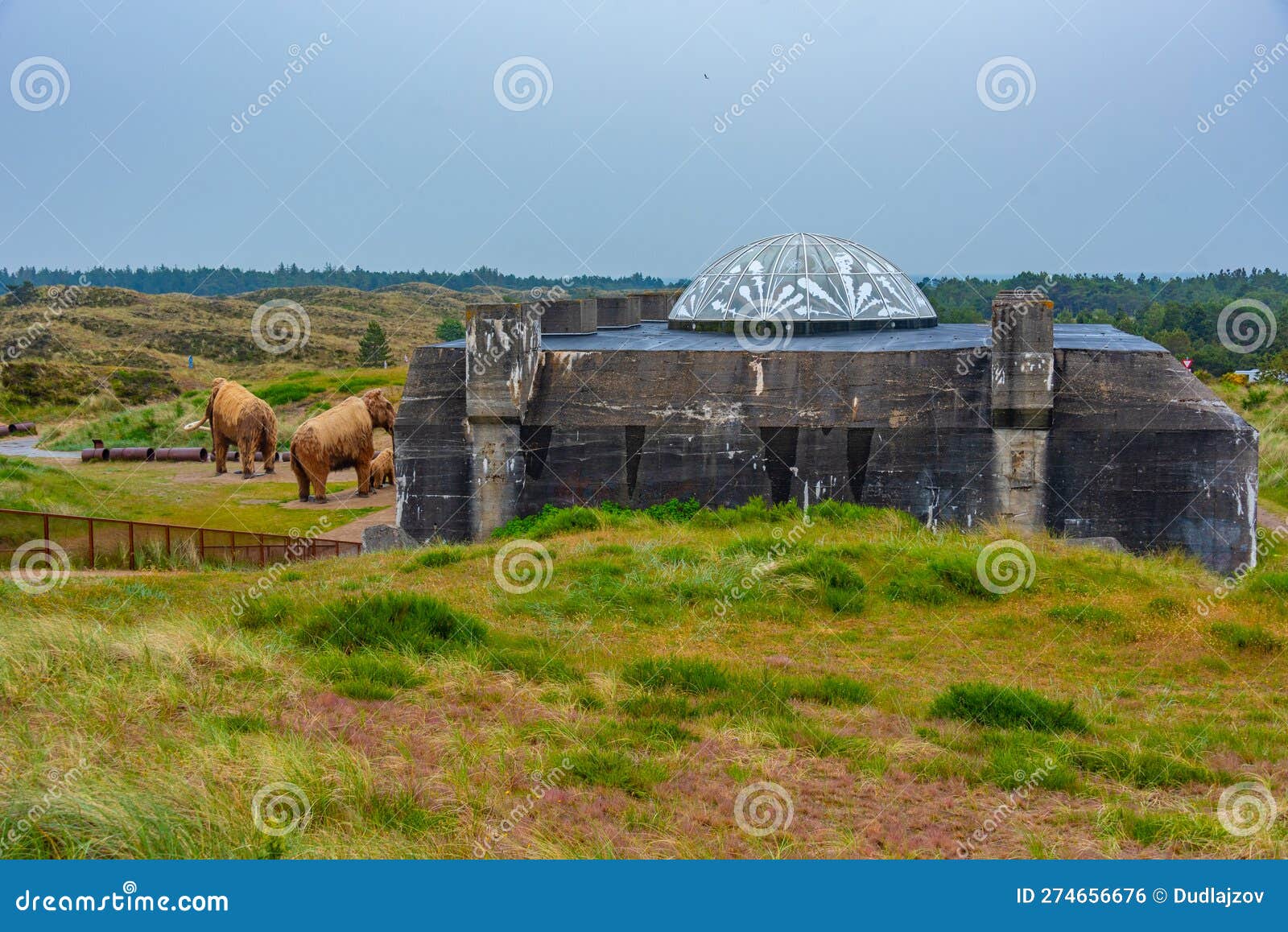Tirpitz Bunker Hosting a Museum in Denmark Editorial Photo - Image of ...
