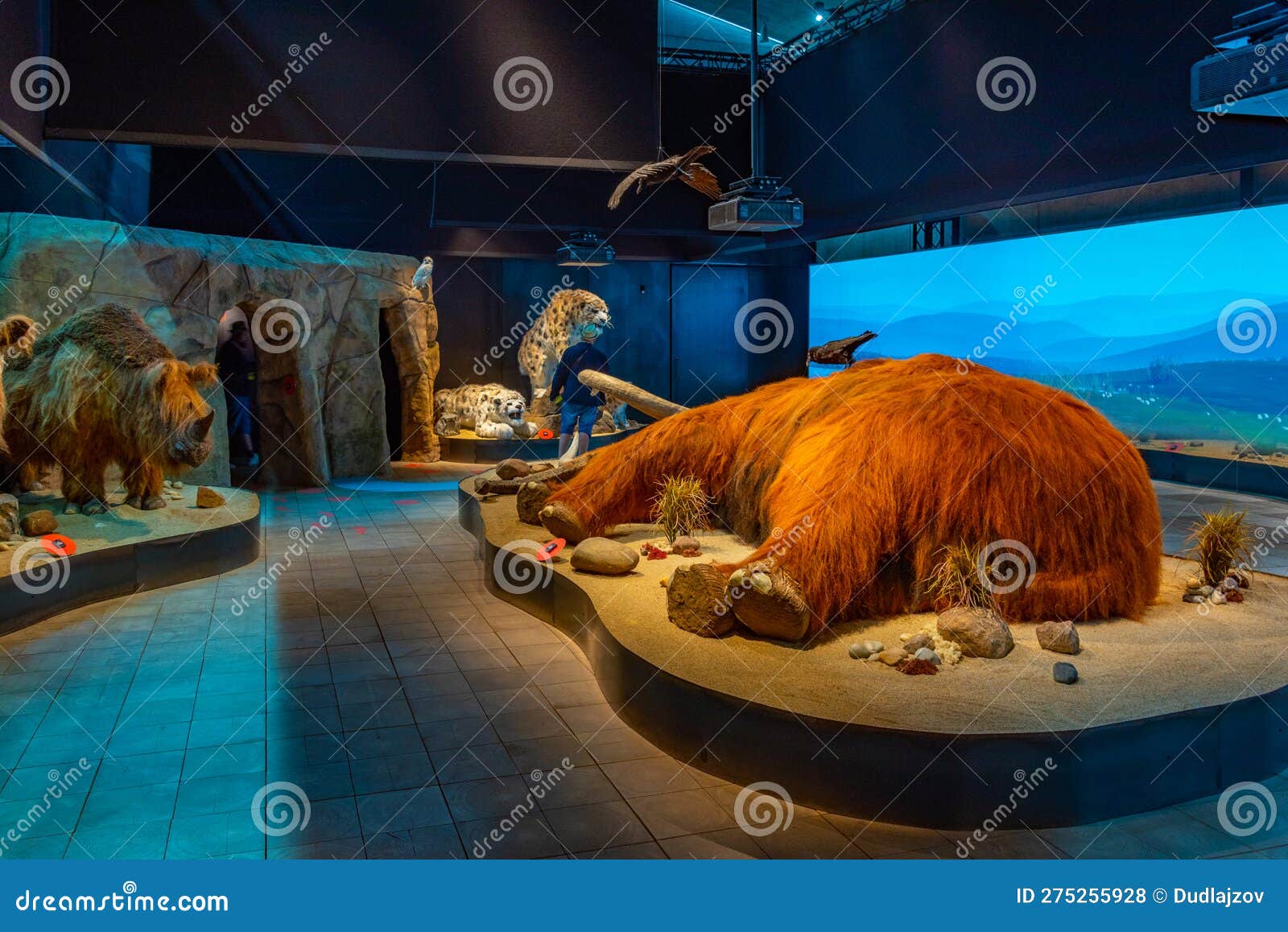 Tirpitz, Denmark, June 17, 2022: Thematic Exposition at a Museum ...