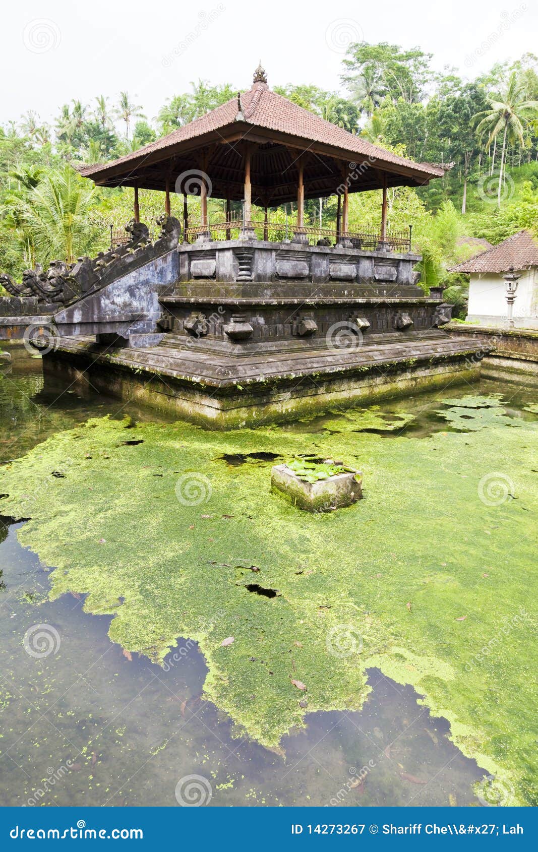 Tirtha Empul, Ubud, Bali, Indonesia Stock Image - Image of architecture ...