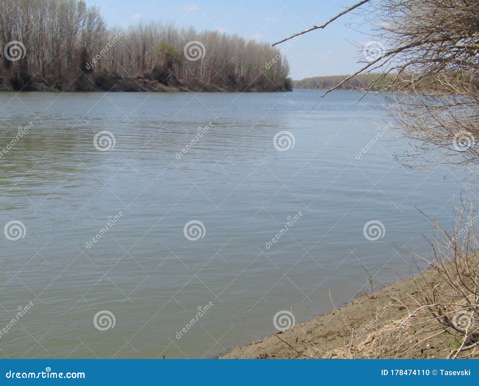 The Tisa River in Banat stock photo. Image of countryside - 178474110