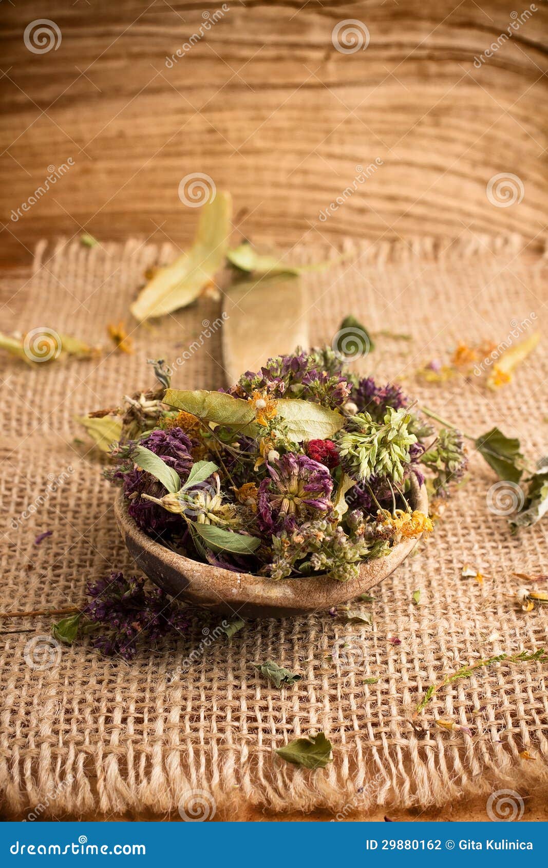 Tisana. foto de stock. Imagem de colheita, fundos, cultura - 29880162