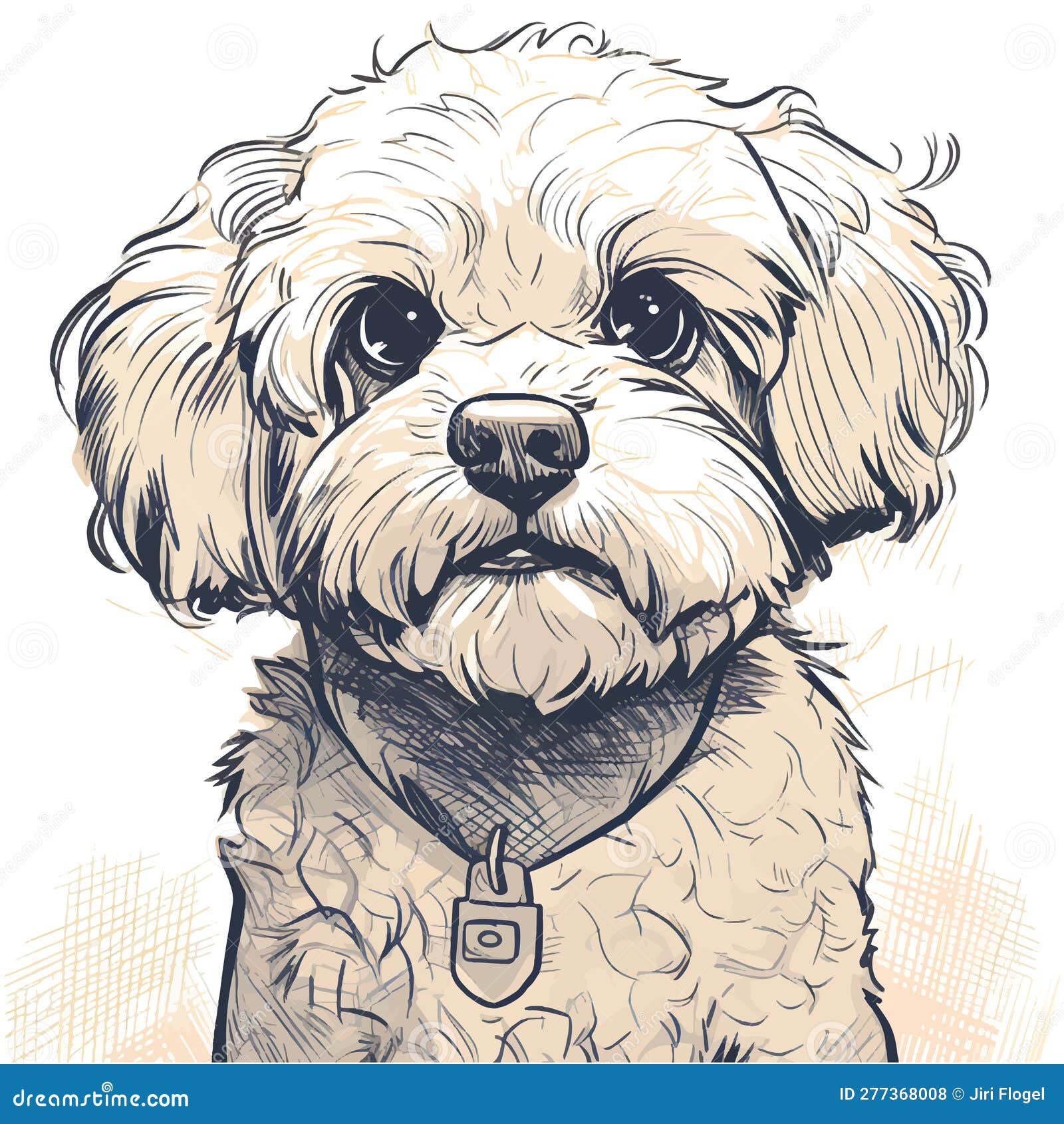 Drawn and Colored of Cute Maltipoo Dog Portrait on White Background ...