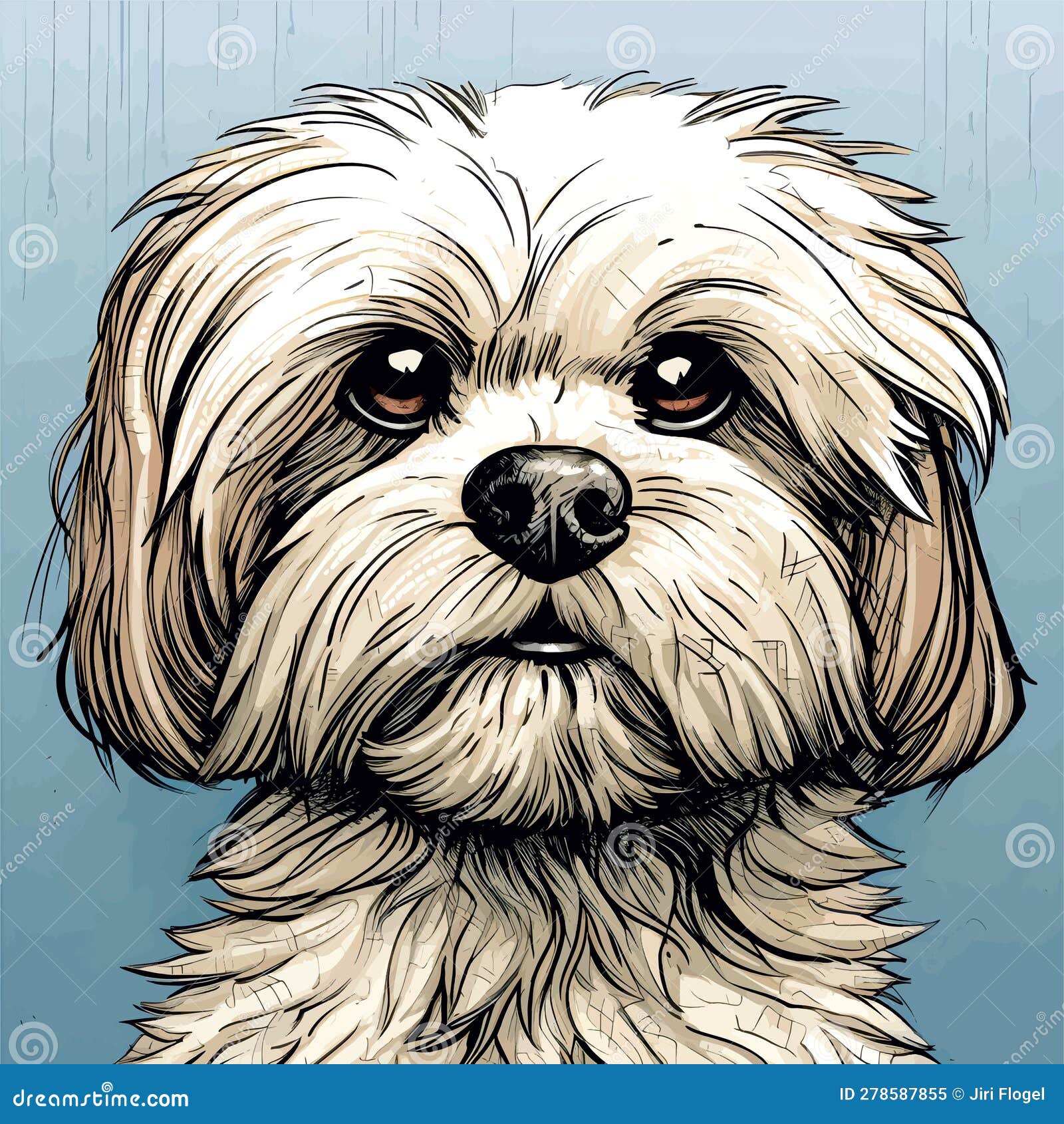 Drawn and Colored of Cute Maltipoo Dog Portrait on White Background ...