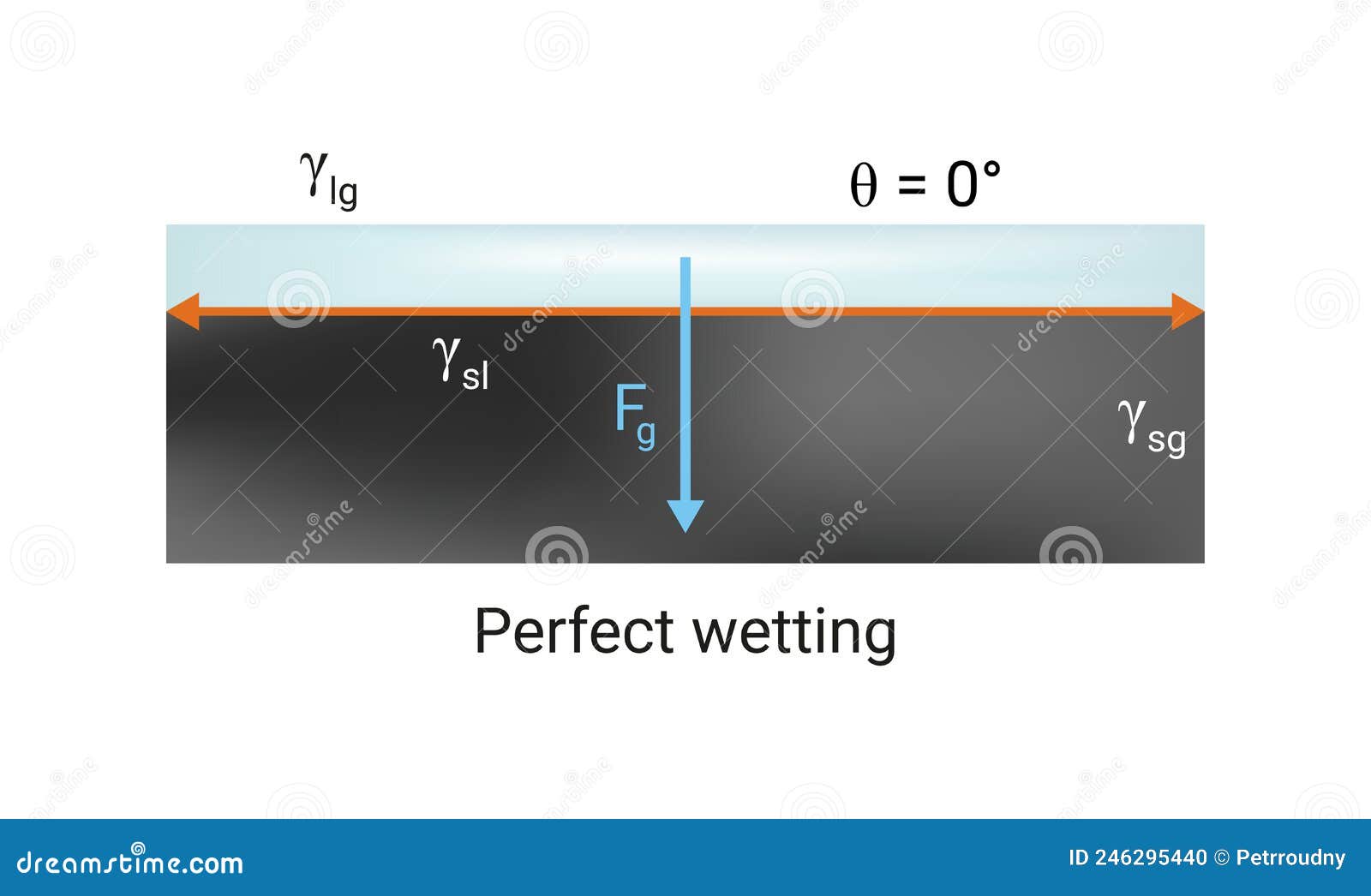 Surface Tension Explanation Vector Illustration Diagram | CartoonDealer ...