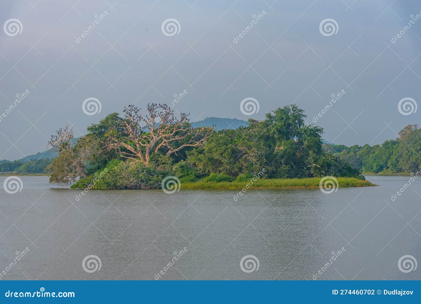 Tissa Weva Lake at Sri Lanka Stock Photo - Image of blue, tropical ...
