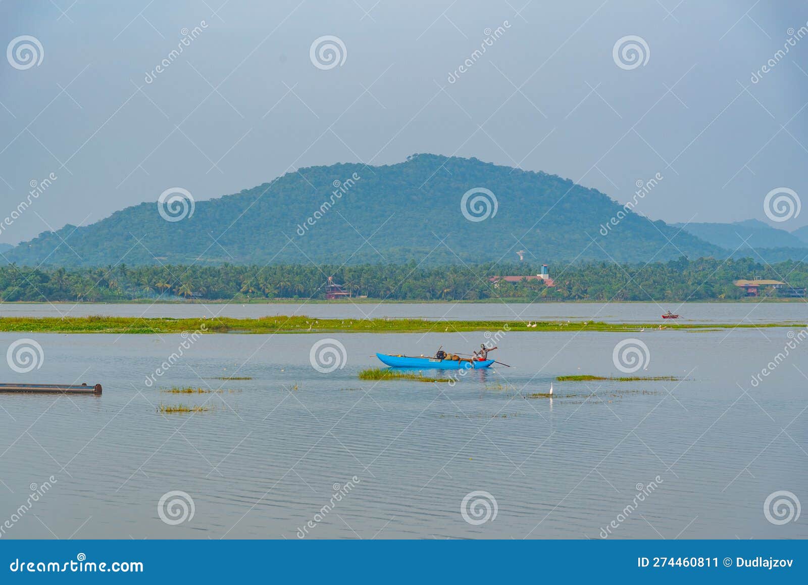 Tissa Weva Lake at Sri Lanka Stock Image - Image of tropical, field ...