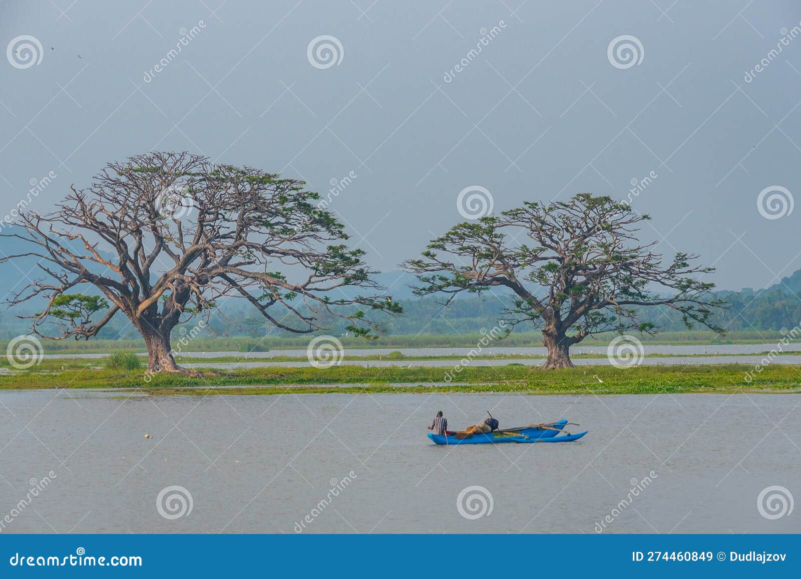 Tissa Weva Lake at Sri Lanka Editorial Stock Image - Image of blue ...