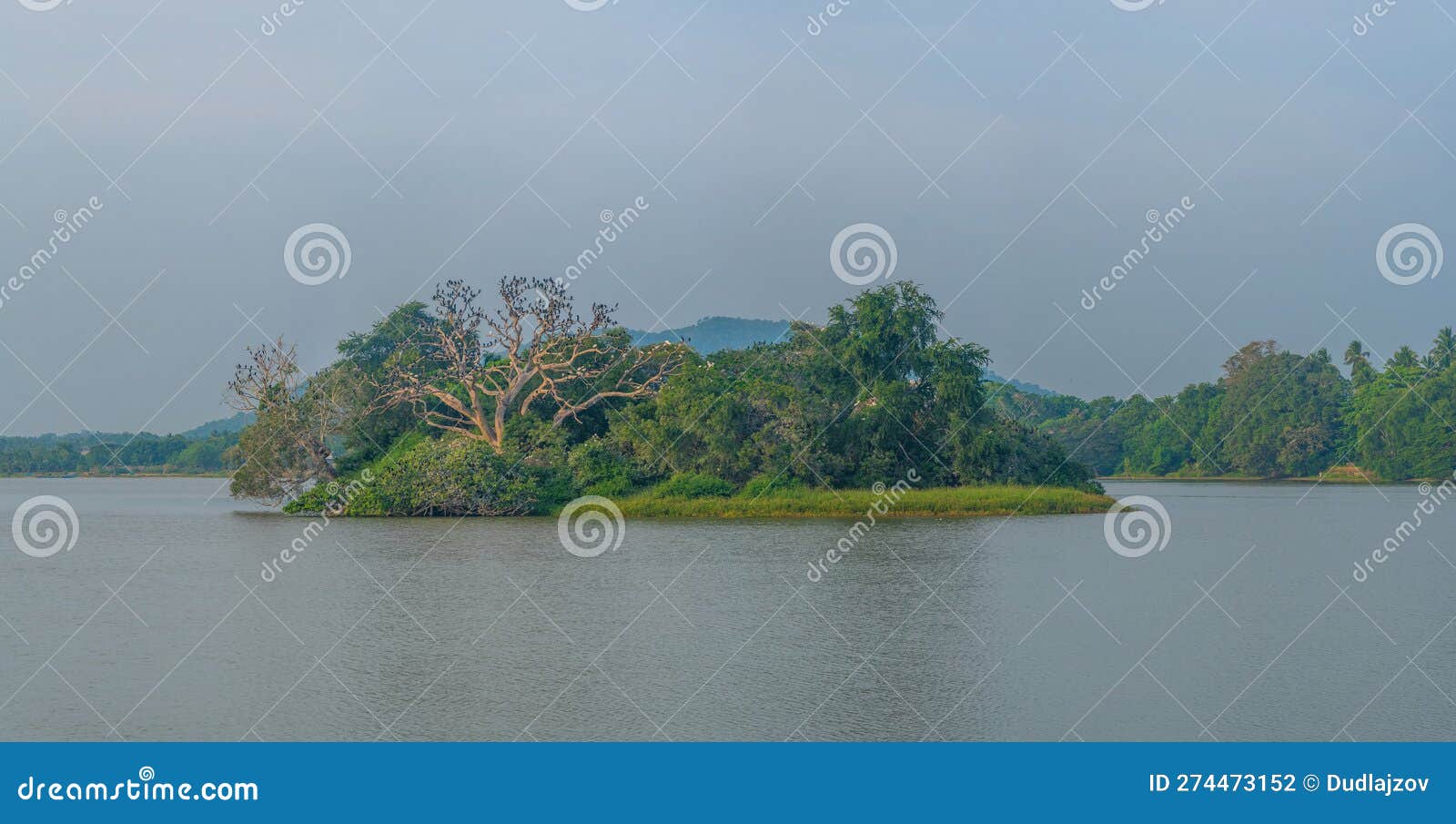Tissa Weva Lake at Sri Lanka,Tissa Weva Lake at Sri Lanka Stock Photo ...