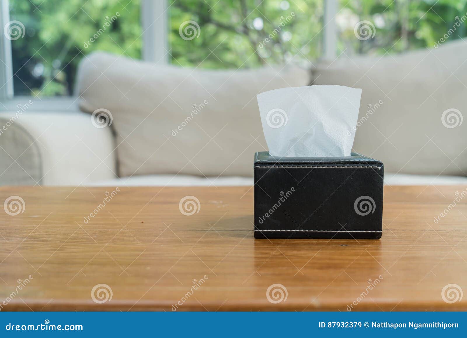 Tissue Boxes Stock Photo | CartoonDealer.com #44451912