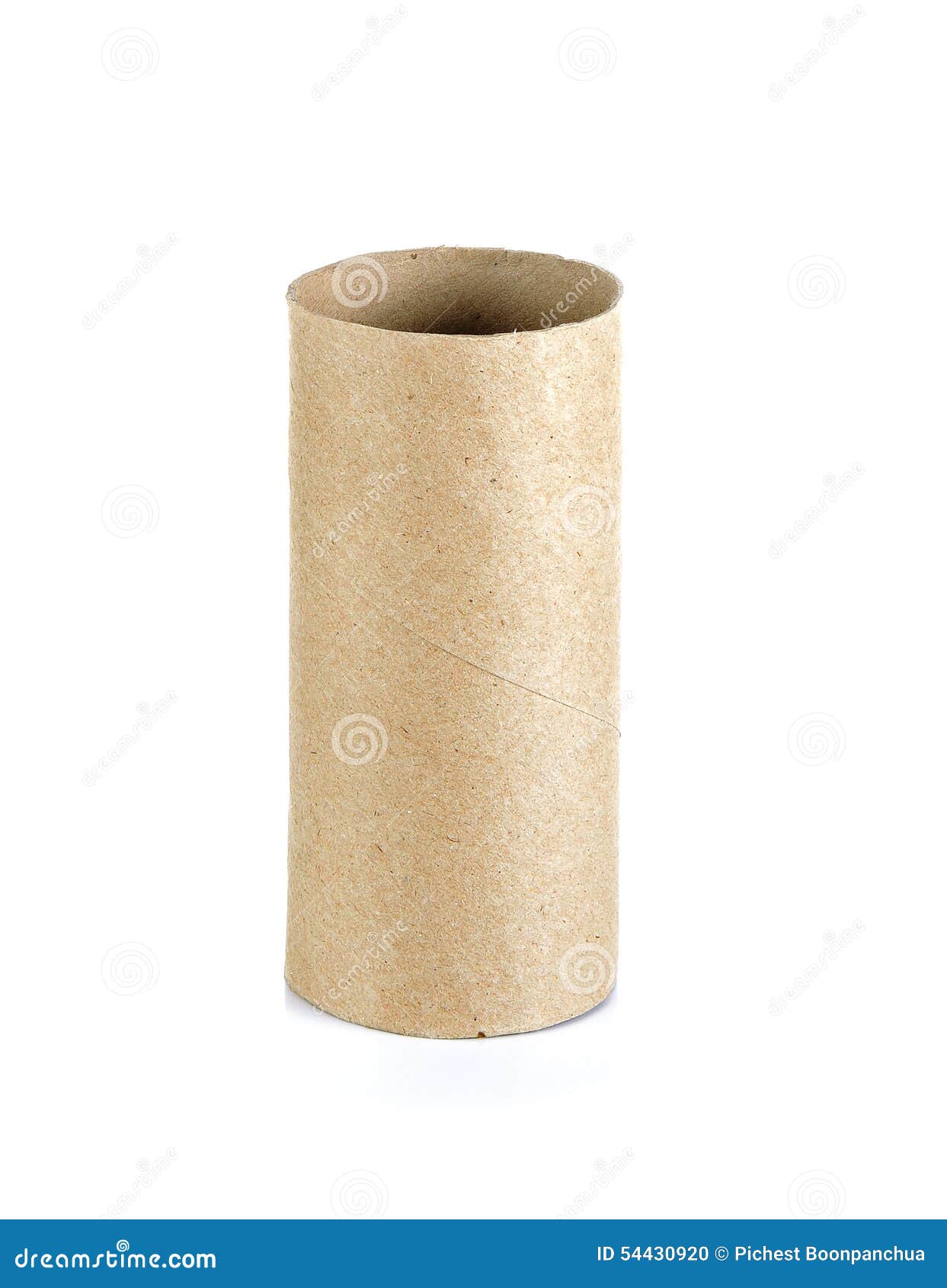Tissue Core Isolated on the White Background Stock Photo - Image of ...