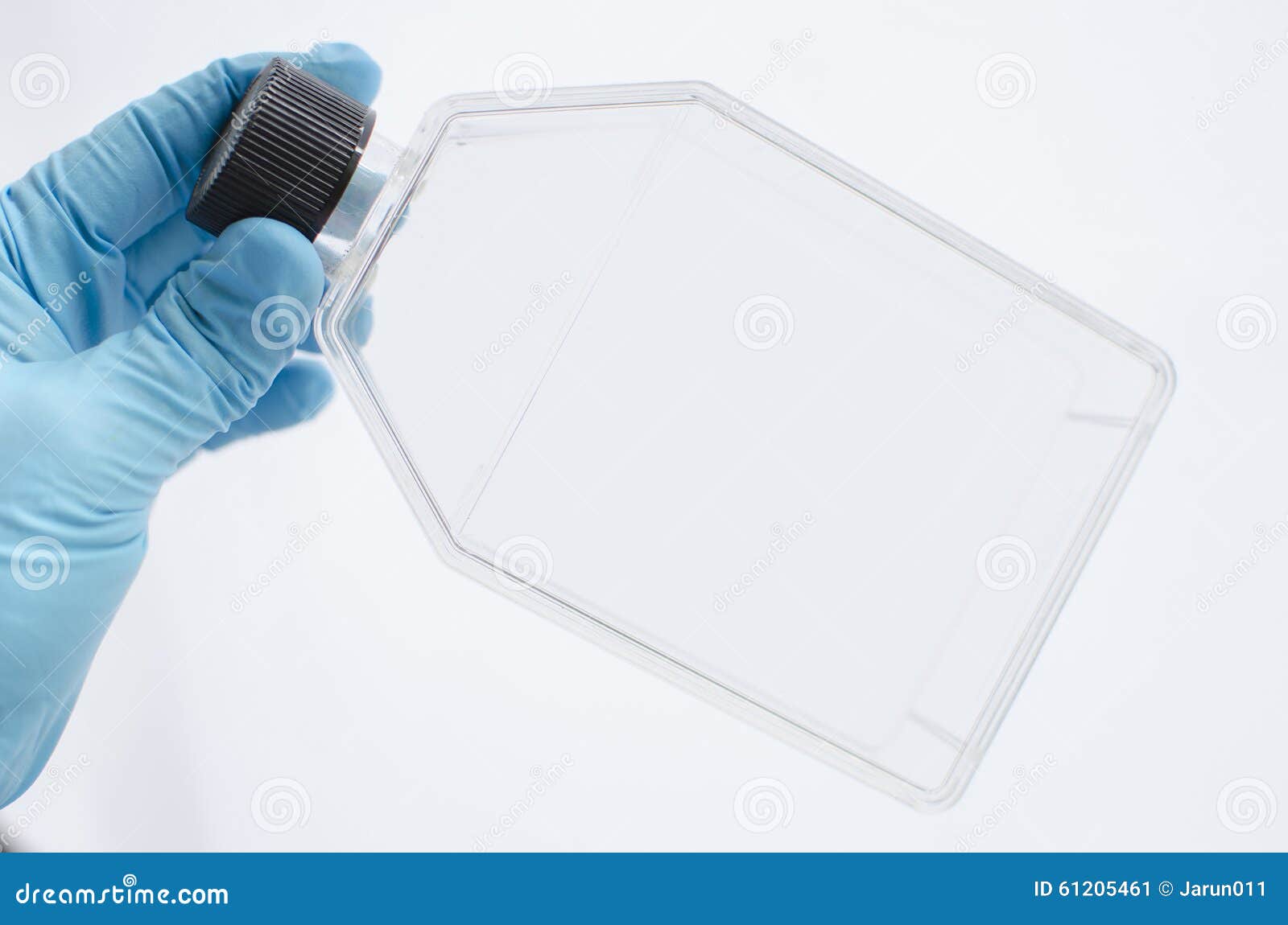 Tissue culture flask stock image. Image of flask, science - 61205461