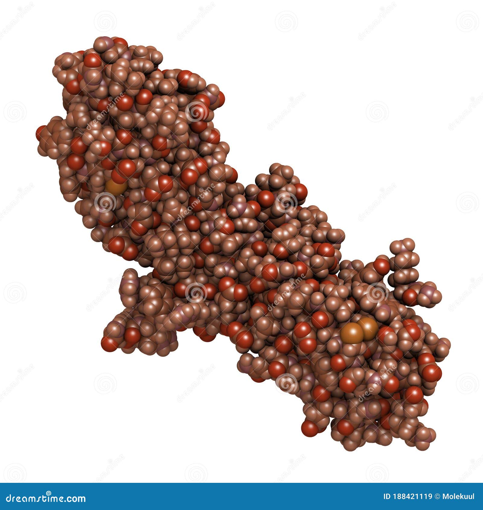 Tissue Factor (TF, Extracellular Part) Protein. Essential In Extrinsic ...