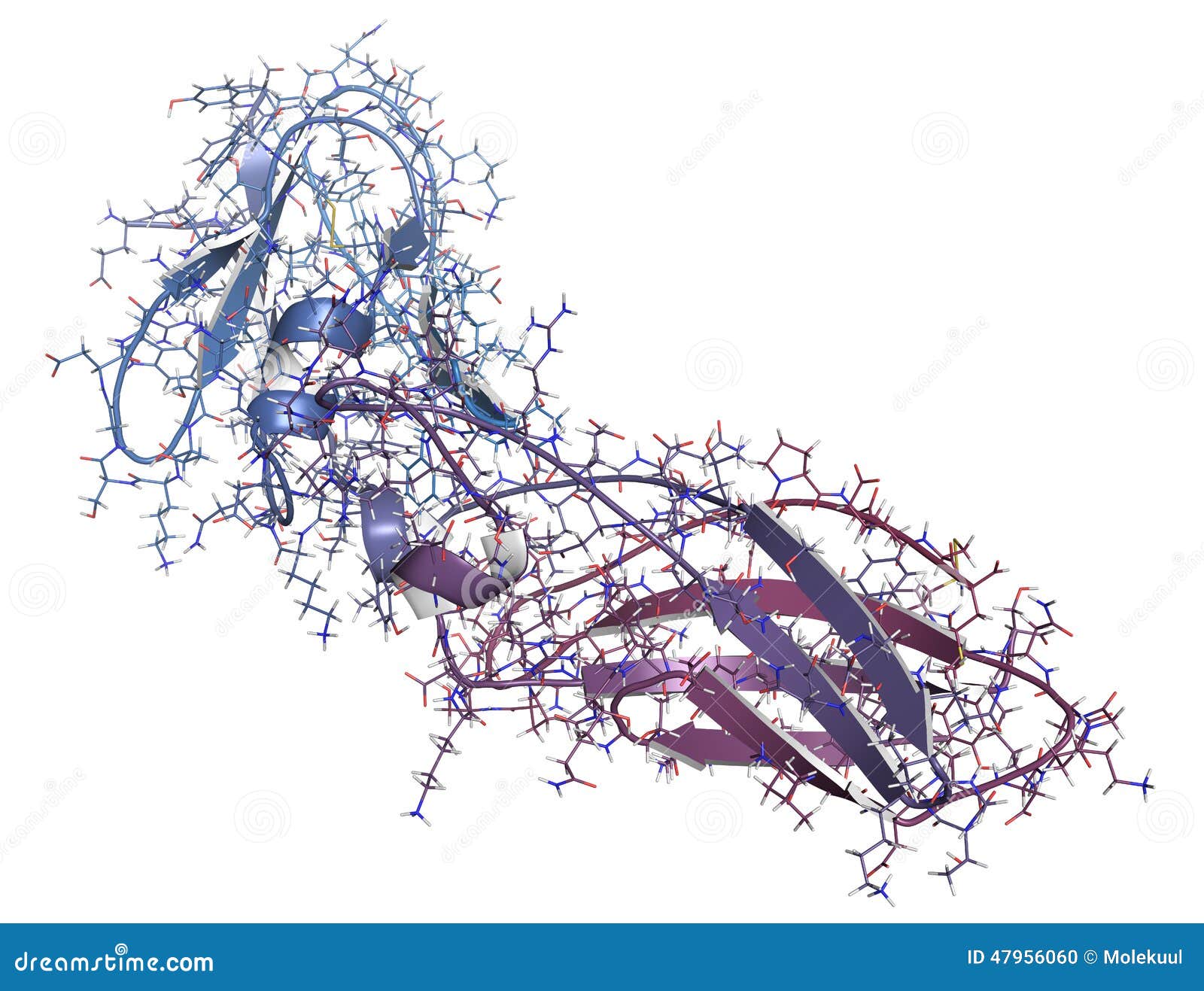 Tissue Factor (TF, Extracellular Part) Protein. Essential In Extrinsic ...