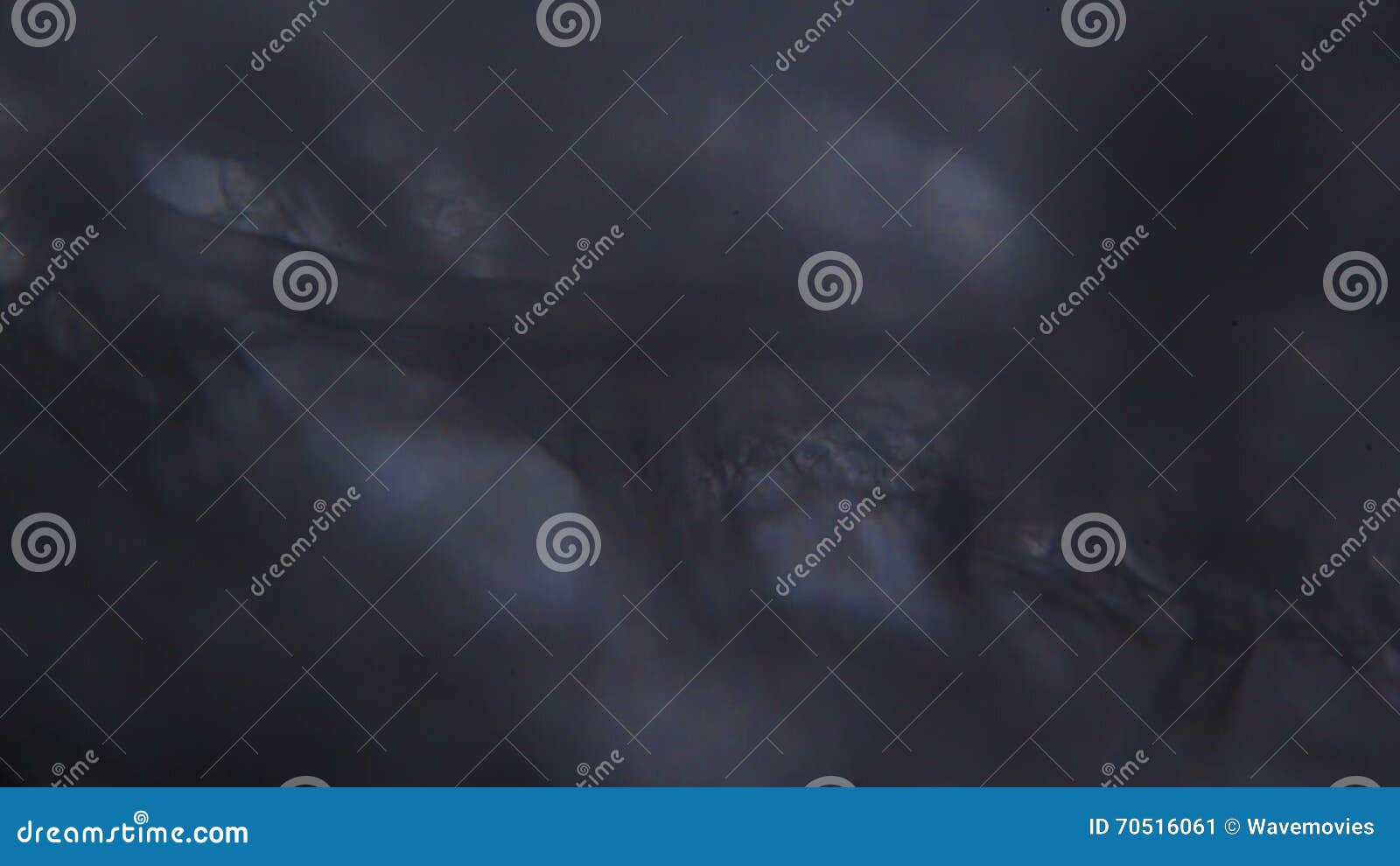 Tissue Paper Fibers Under the Microscope Stock Video - Video of micro ...