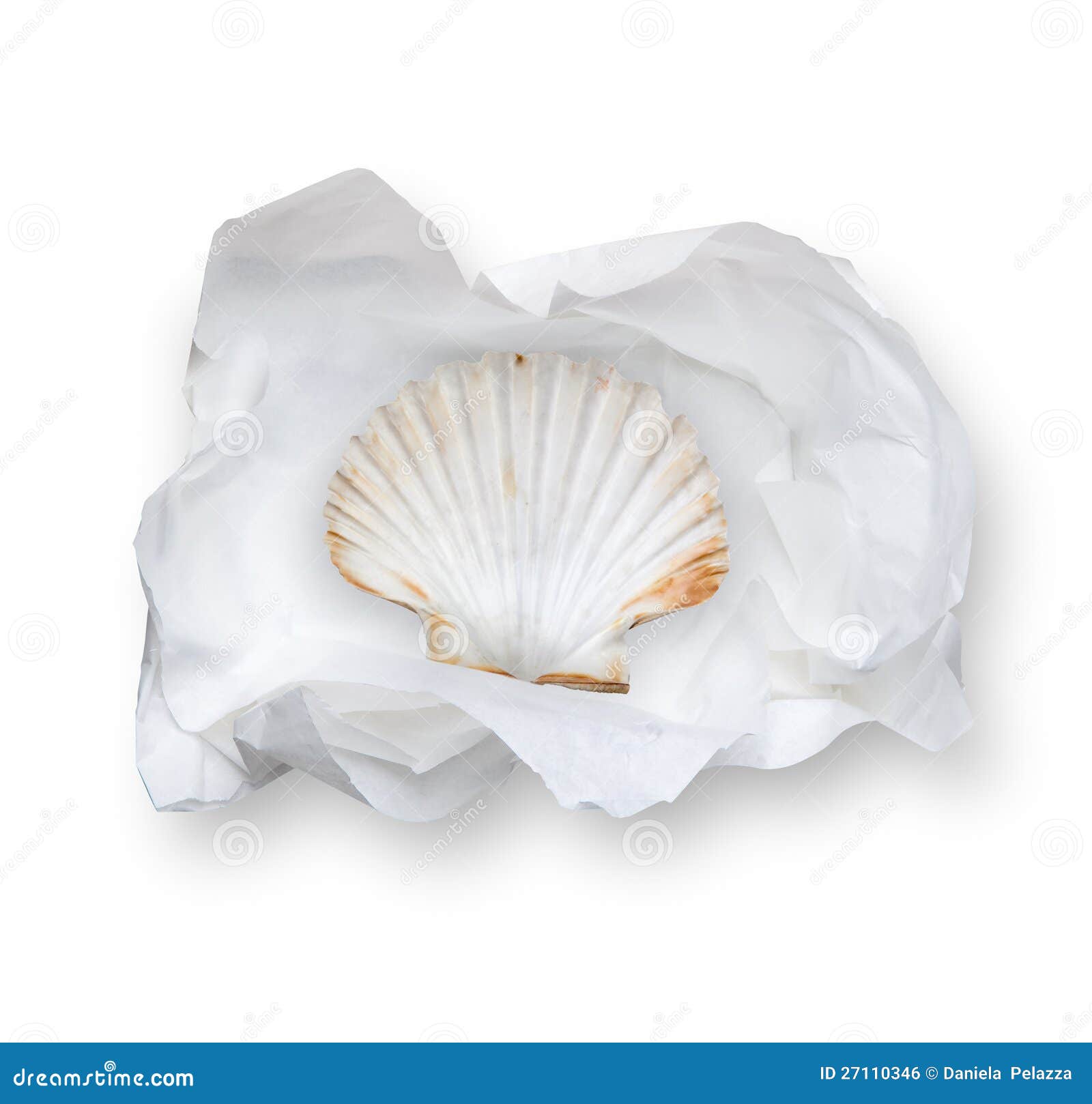 Tissue Paper with shell stock photo. Image of paper, material - 27110346
