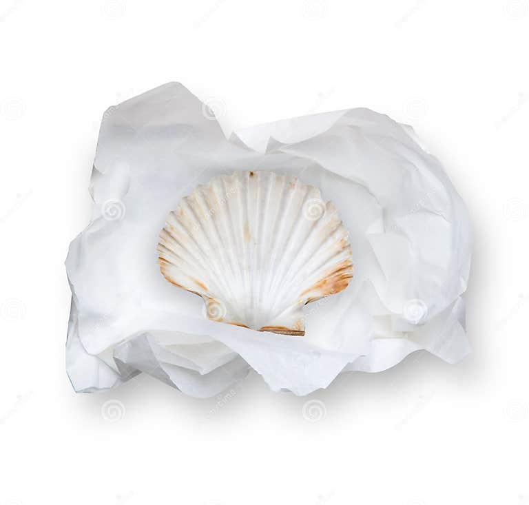 Tissue Paper with shell stock photo. Image of paper, material - 27110346