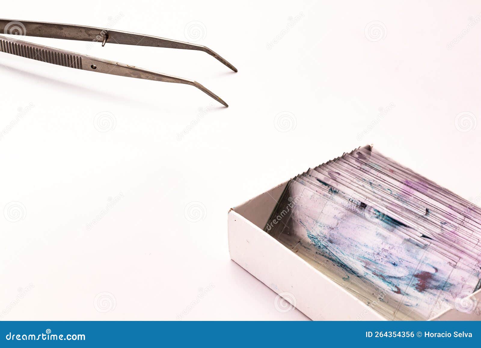 Tissue Preparations on Microscope Slides. Histology or Pathology ...