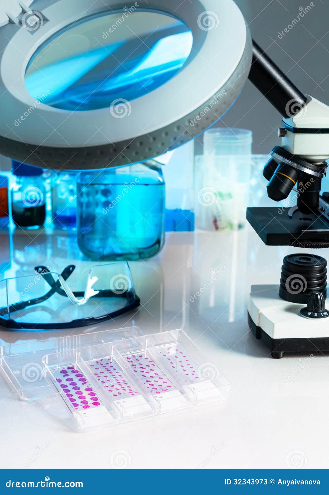 Tissue Samples for Microscopy Stock Image - Image of histology, science ...