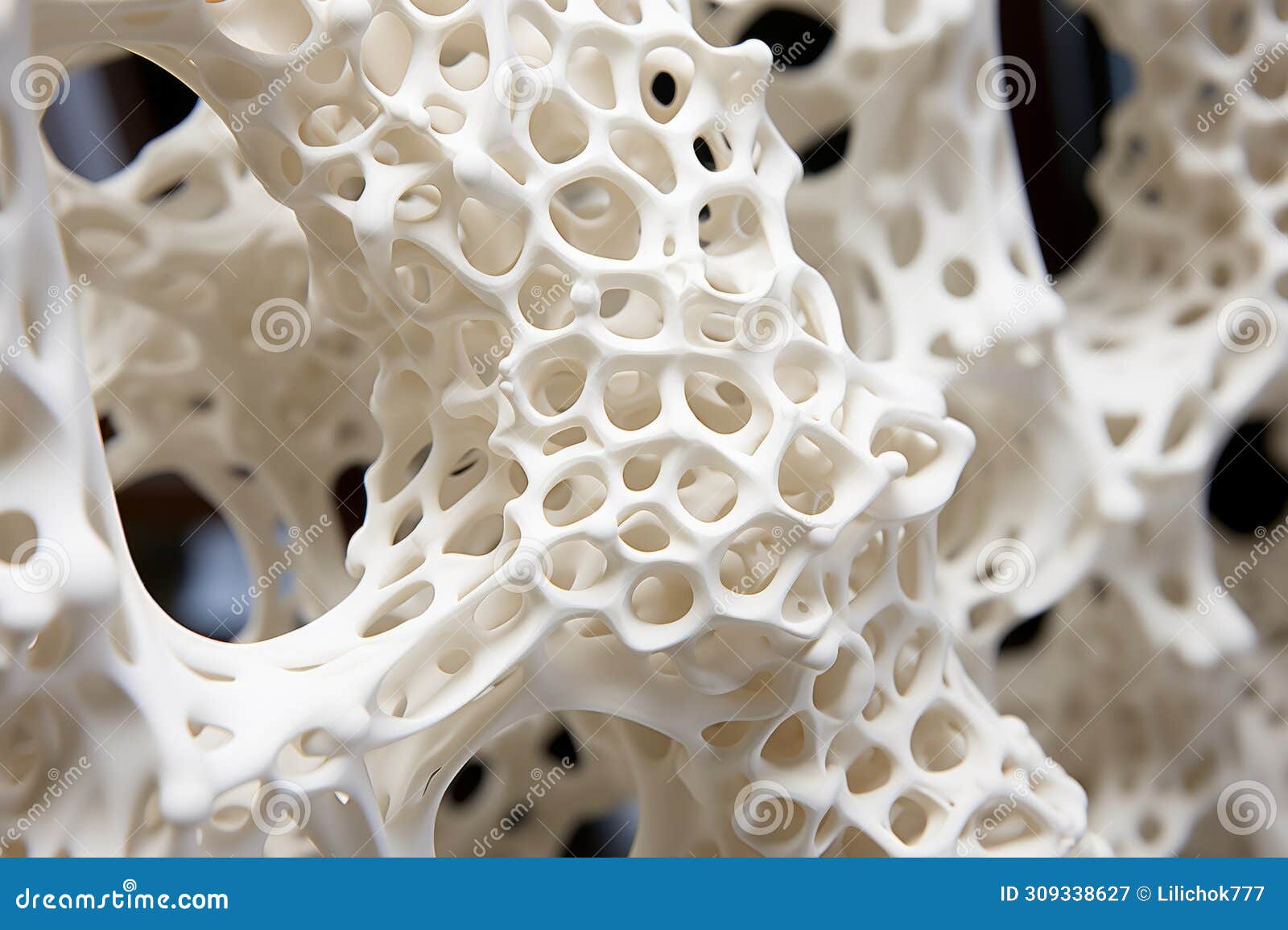 Stunning Scenic Canyon With Biodegradable Climbing Equipment For ...